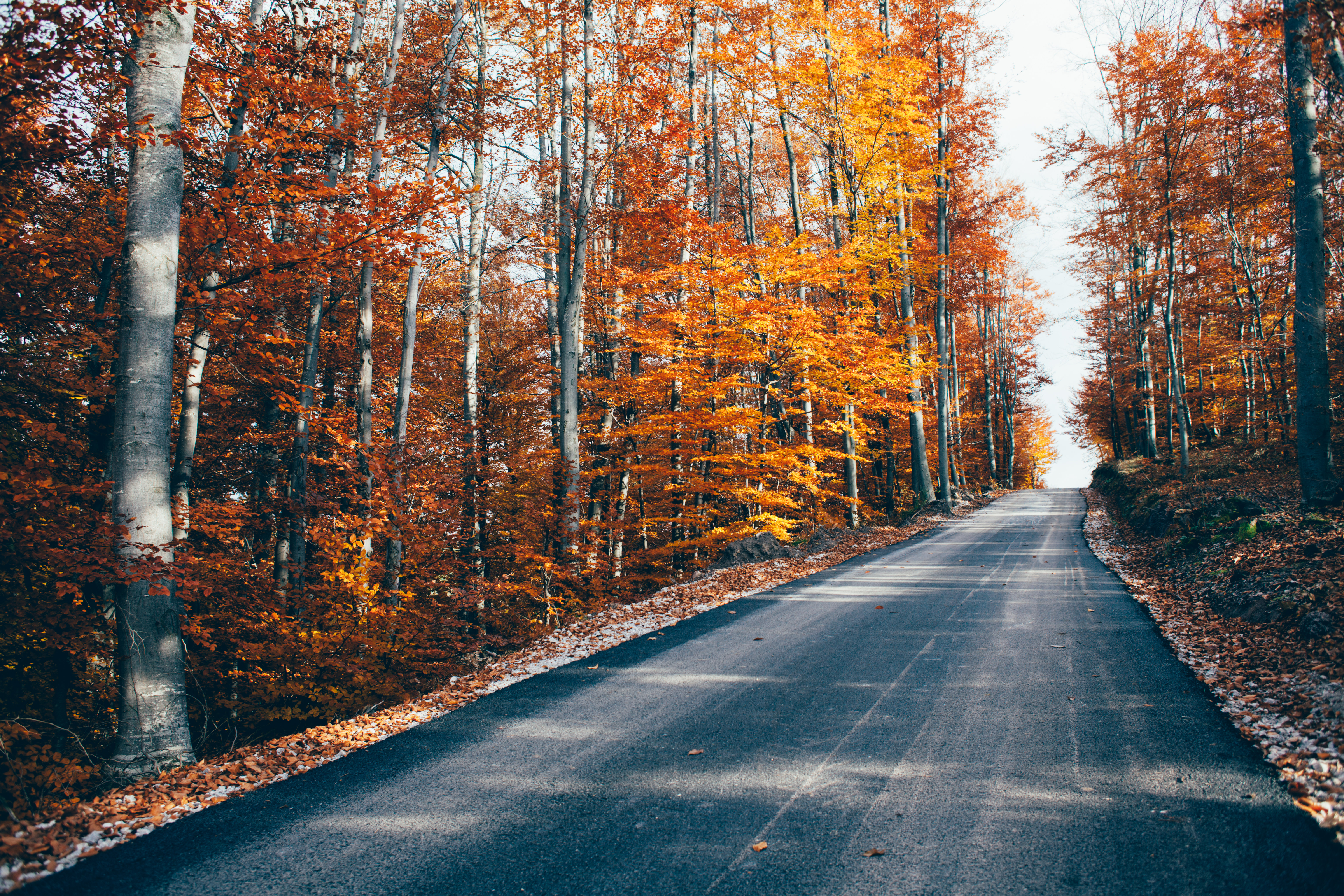 Union Rustic Highway In Countryside | Wayfair.co.uk