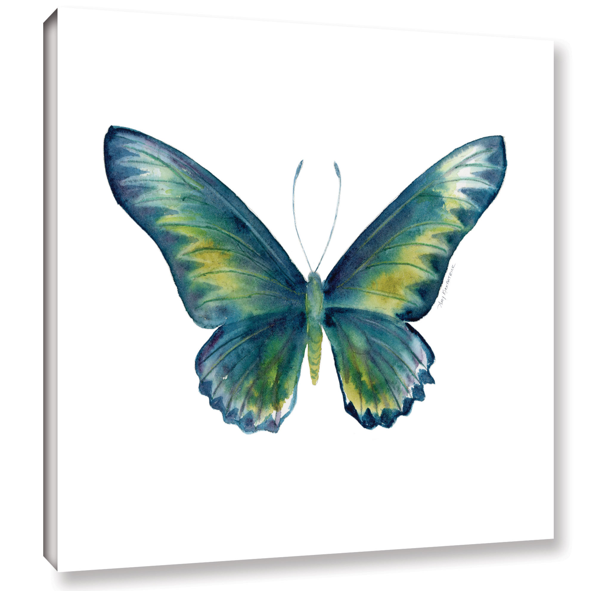 August Grove 'Blue Rajah Birdwing' Painting Print Wrapped on Canvas ...