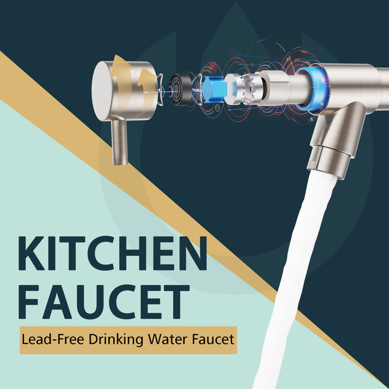 FORIOUS Kitchen Faucet & Reviews | Wayfair