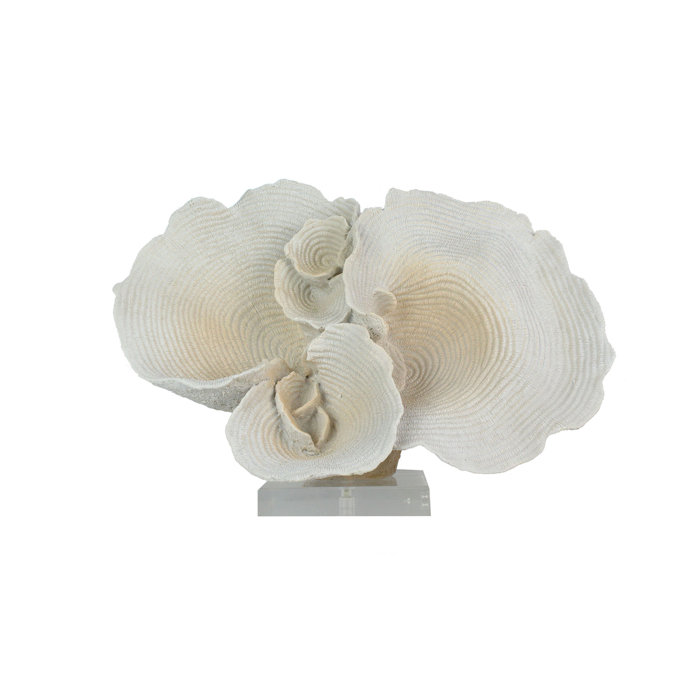 Zentique Off-white Resin Coral On Acrylic Base & Reviews | Perigold