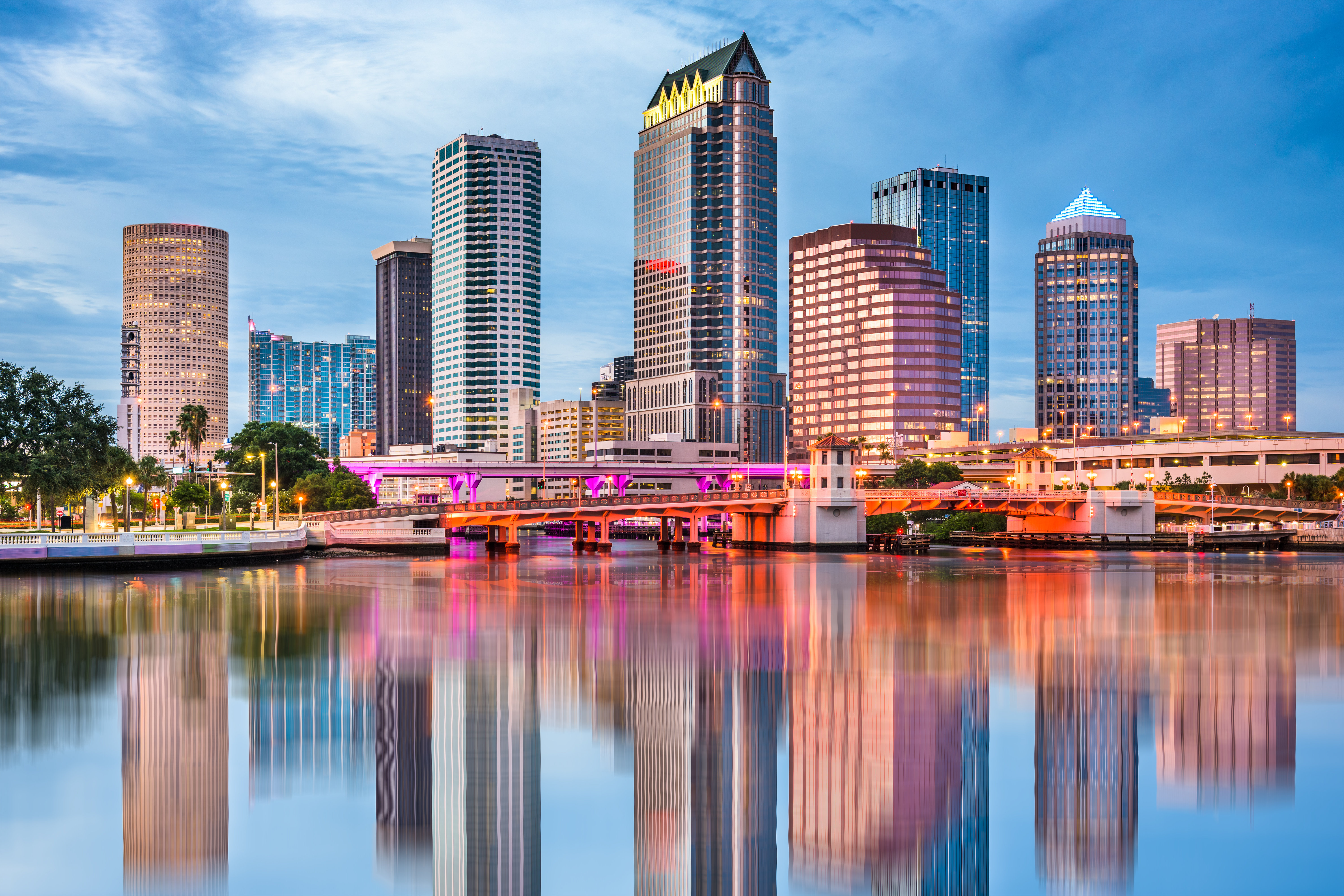 Ebern Designs Nevata Tampa Bay by Sean Pavone | Wayfair