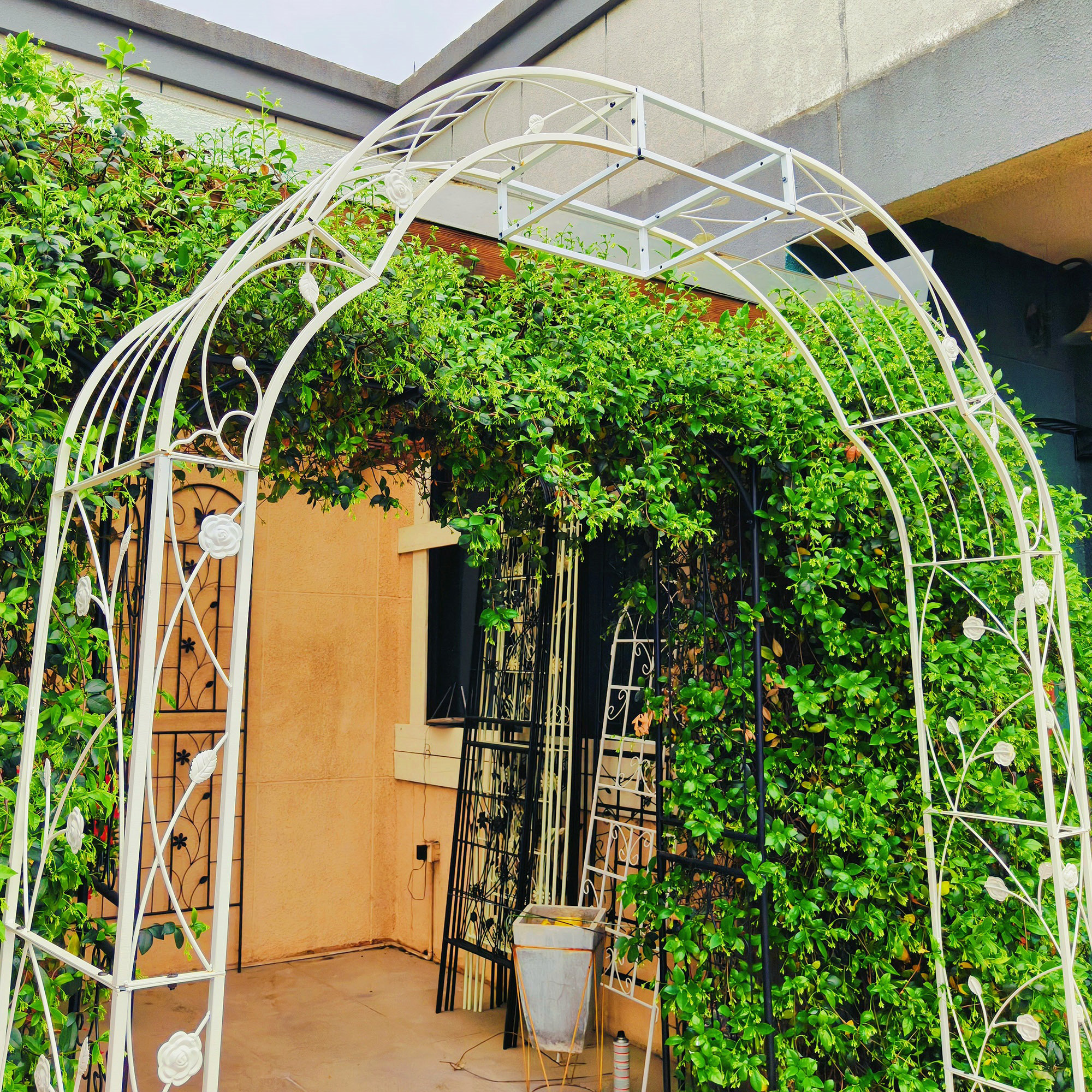 Winston Porter Metal Garden Arch W74.4'' X H98.4'' Garden Arbour ...