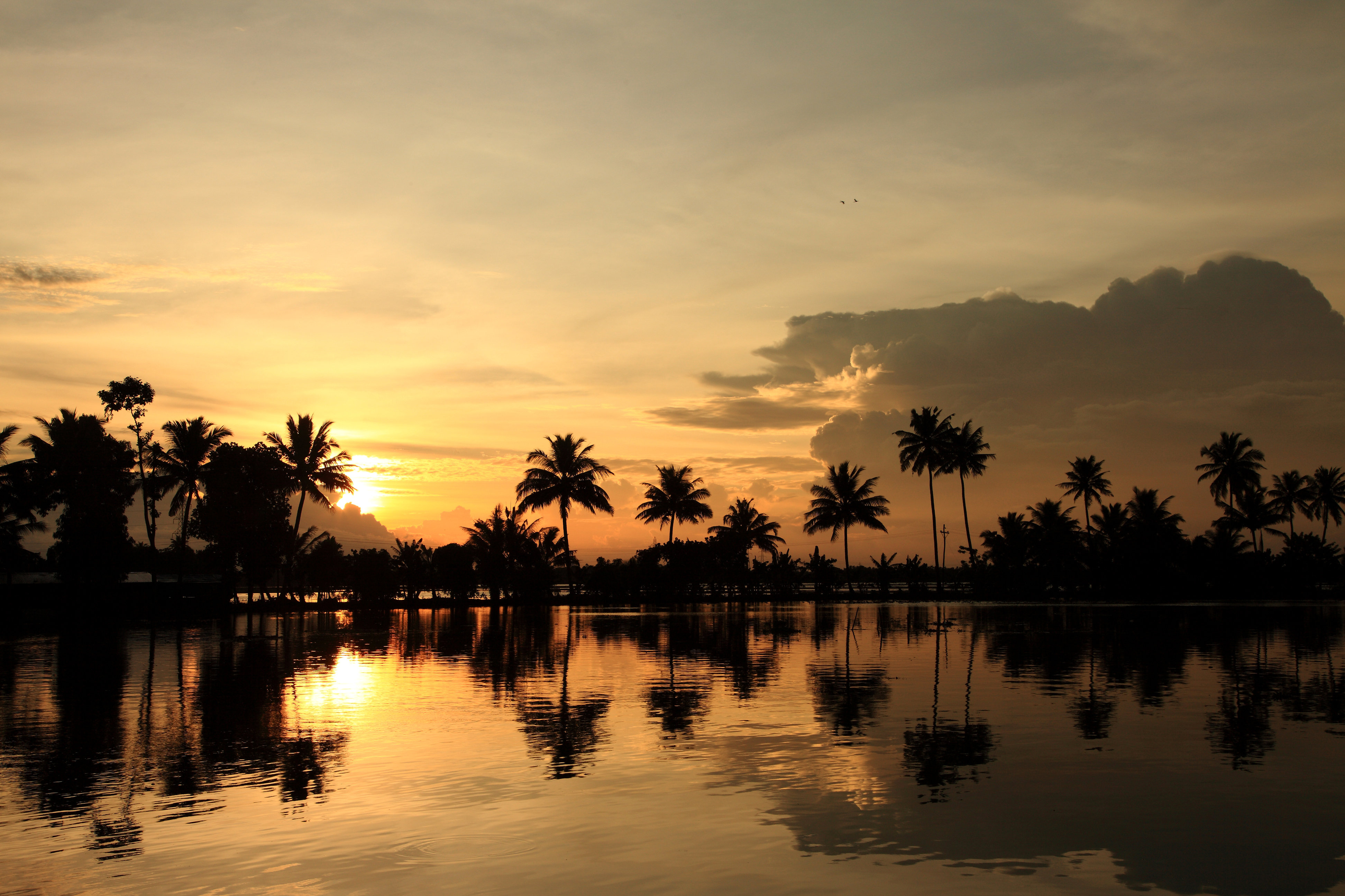 Bay Isle Home™ Kerala Backwater Landscape by Ajijchan - Wrapped Canvas ...