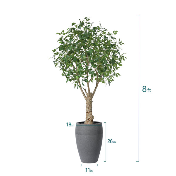 Primrue Adcock 8ft UV Resistant Artificial Ficus Tree with Grey Tall ...