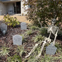 The Holiday Aisle® Pose-N-Stay Skeleton & Reviews | Wayfair