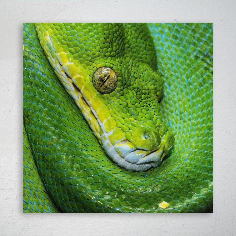 Latitude Run® Green And White Snake On Black Background 1 - Wrapped ...