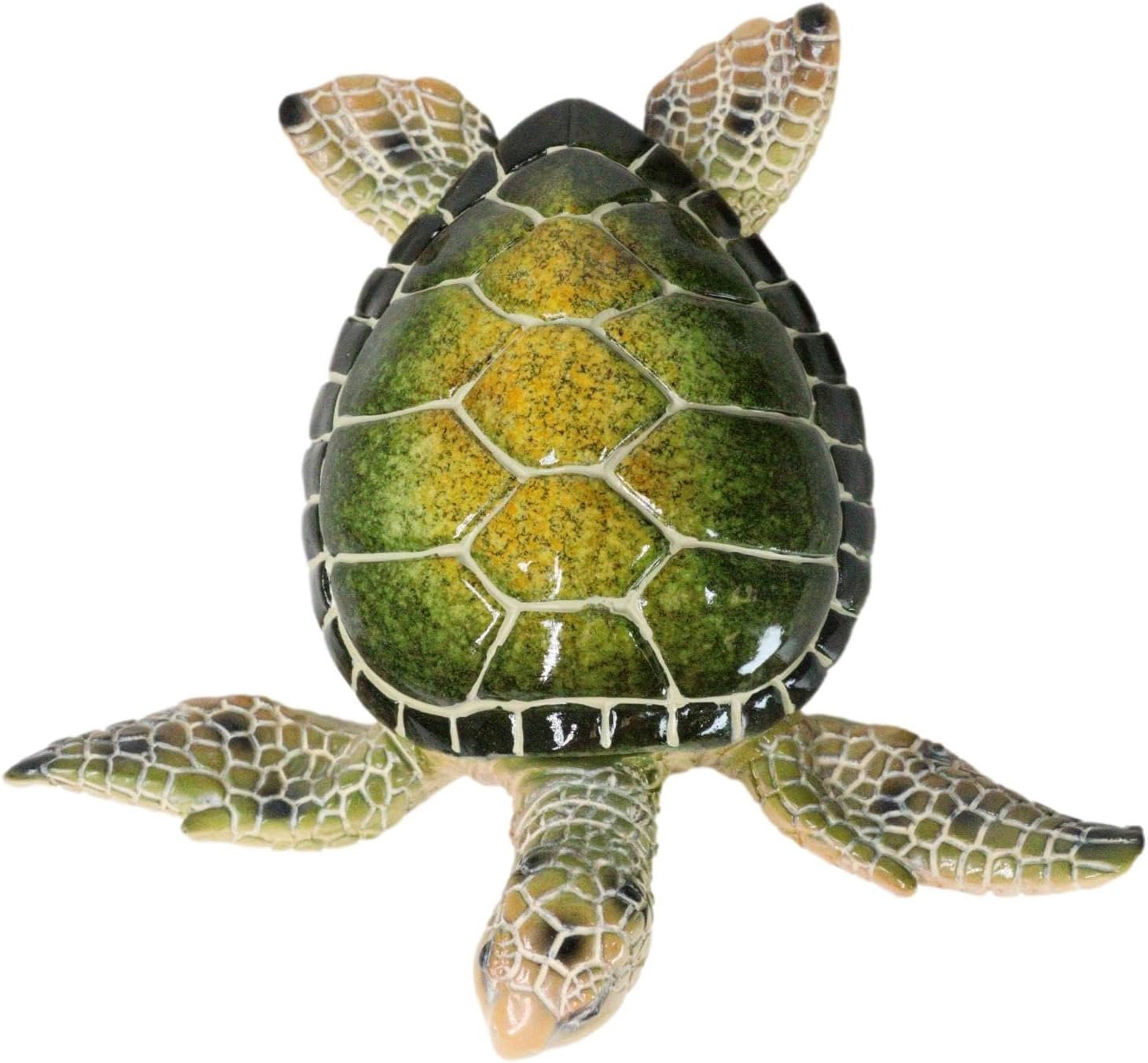Breakwater Bay Ocean Marine Sea Turtle Decorative Key Stash Decorative ...