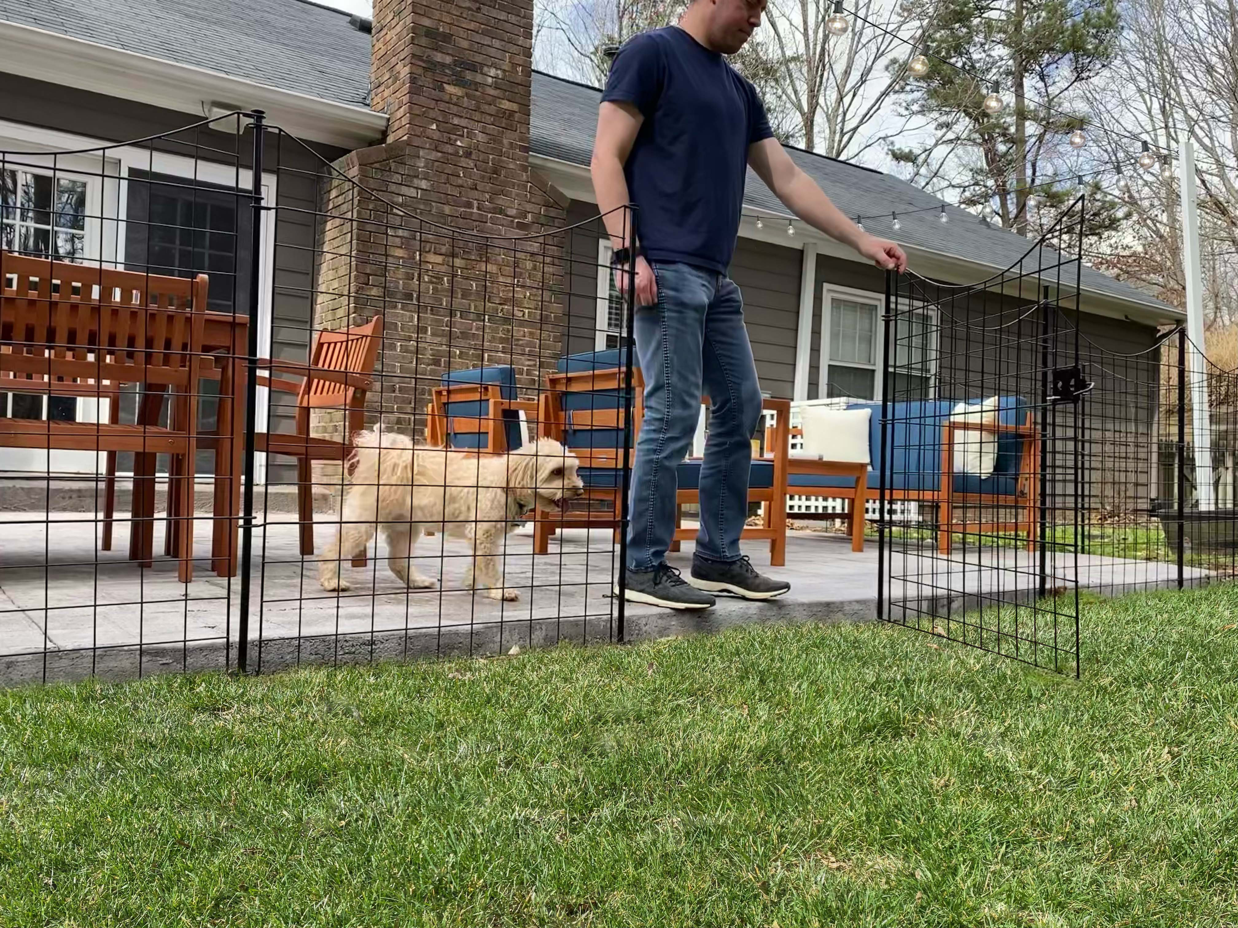 Zippity Outdoor Products Zippity 39in Tall Metal Garden Gate with 4 Dog ...