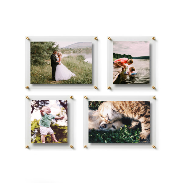 Wexel Art 4 Piece Quattro Double Panel Float Picture Frame Set | Wayfair