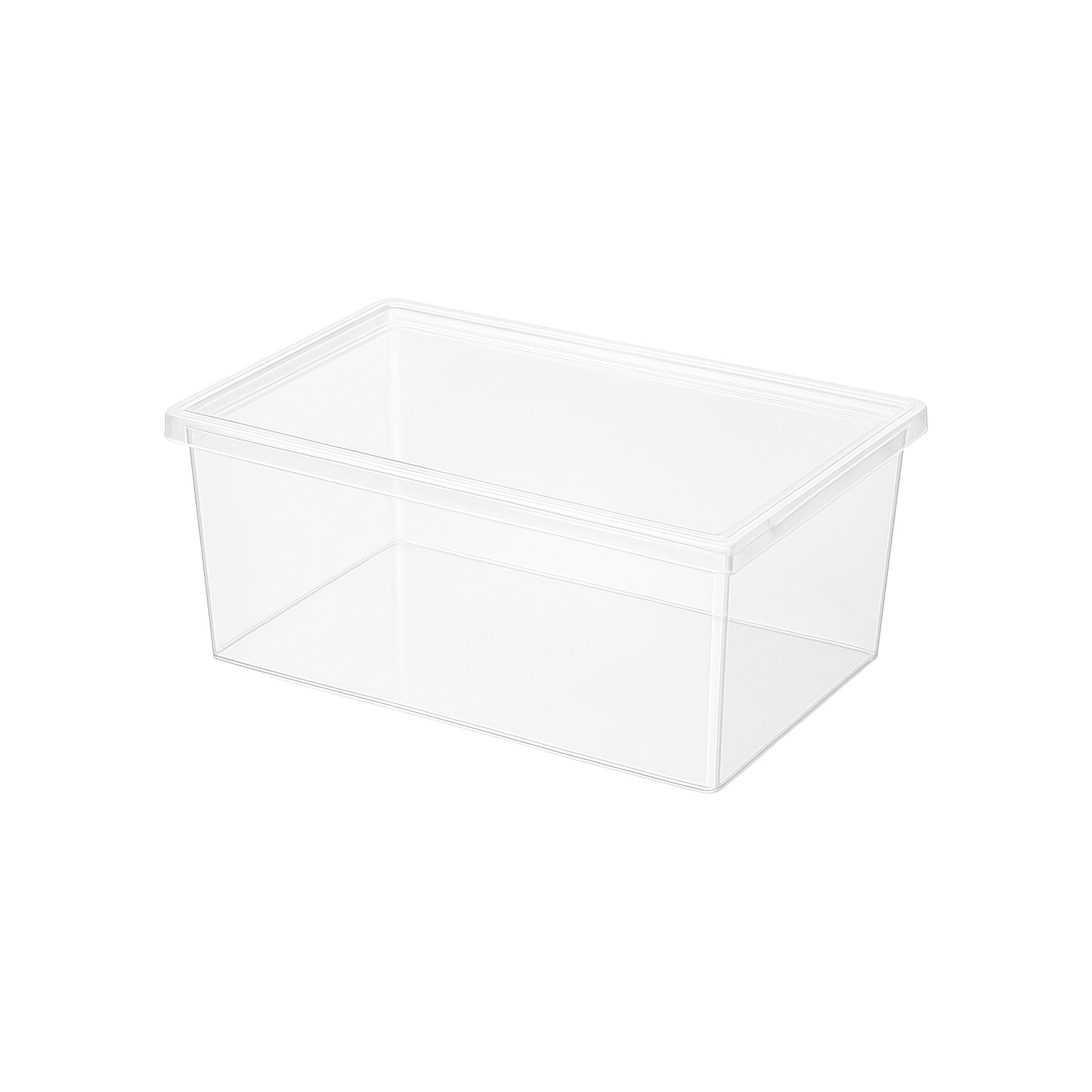 Wrought Studio™ Shoe Box Storage Container - 6.5 Quart Stackable ...