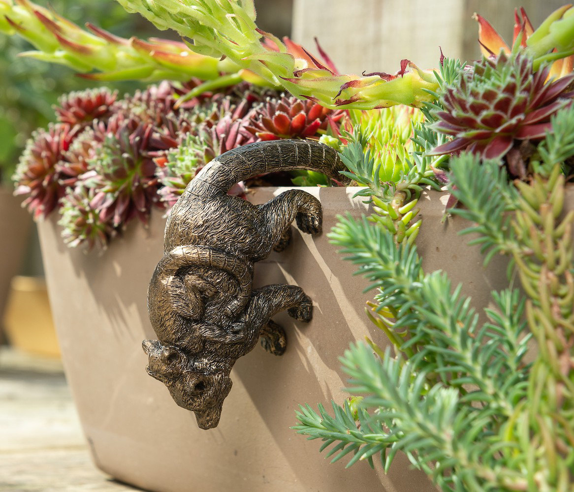 Jardinopia Lemur Pot Buddy Pot Hanger In Gift Box | Wayfair