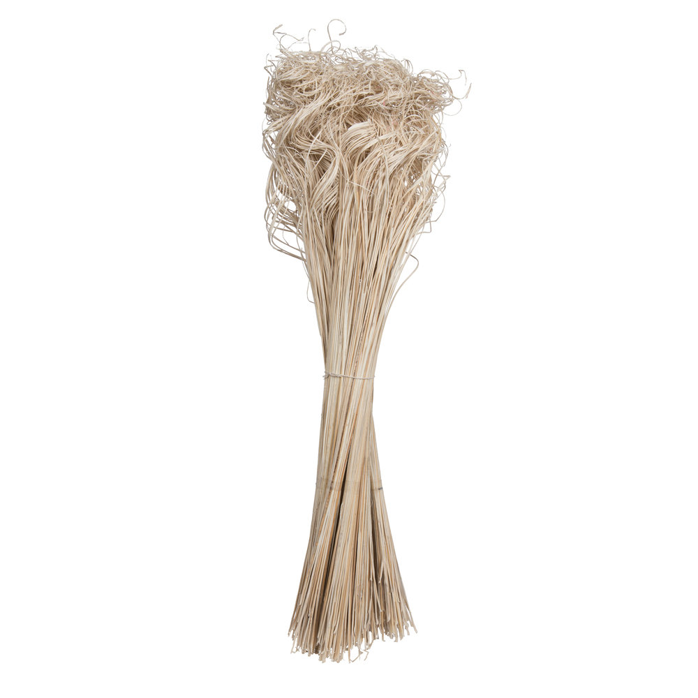 Primrue Natural Botanicals 24" Curly Ting Ting, Bleached. 6 bunches per ...