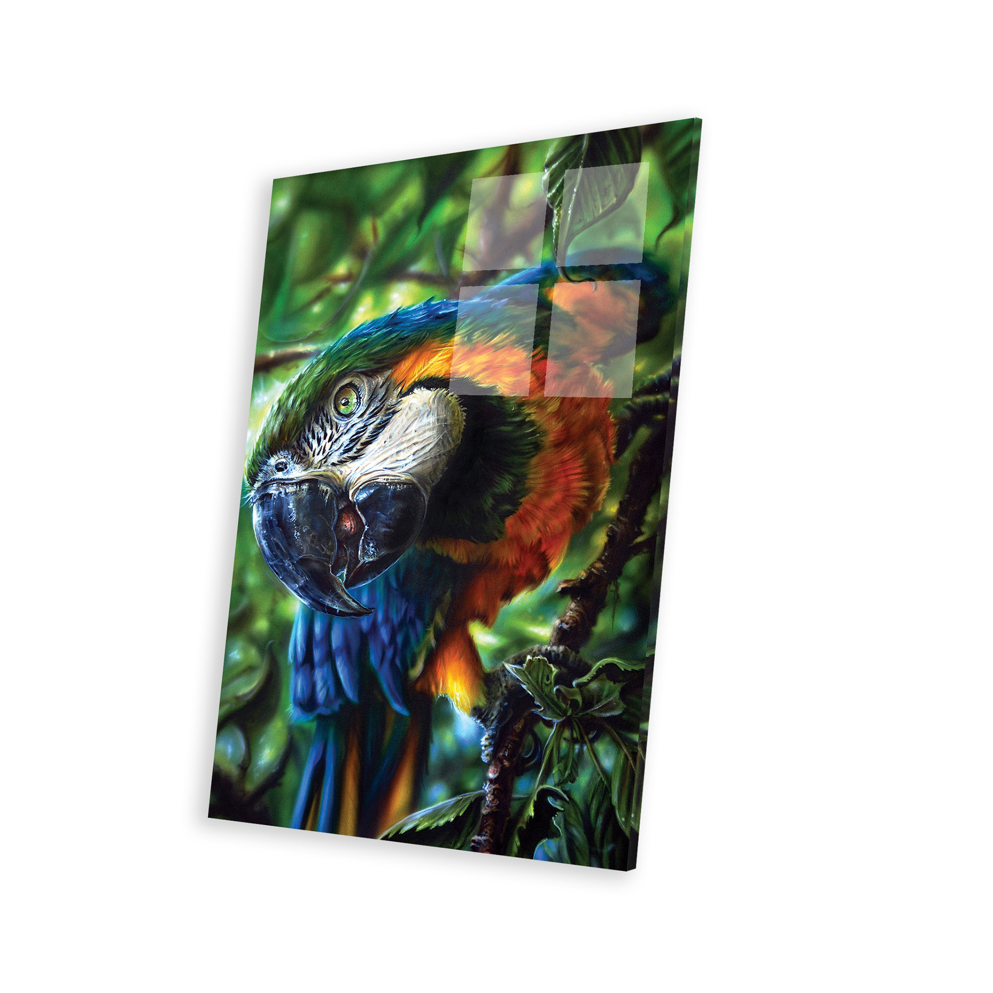 Ebern Designs Parrot II On Plastic/Acrylic by Derek Turcotte Painting ...