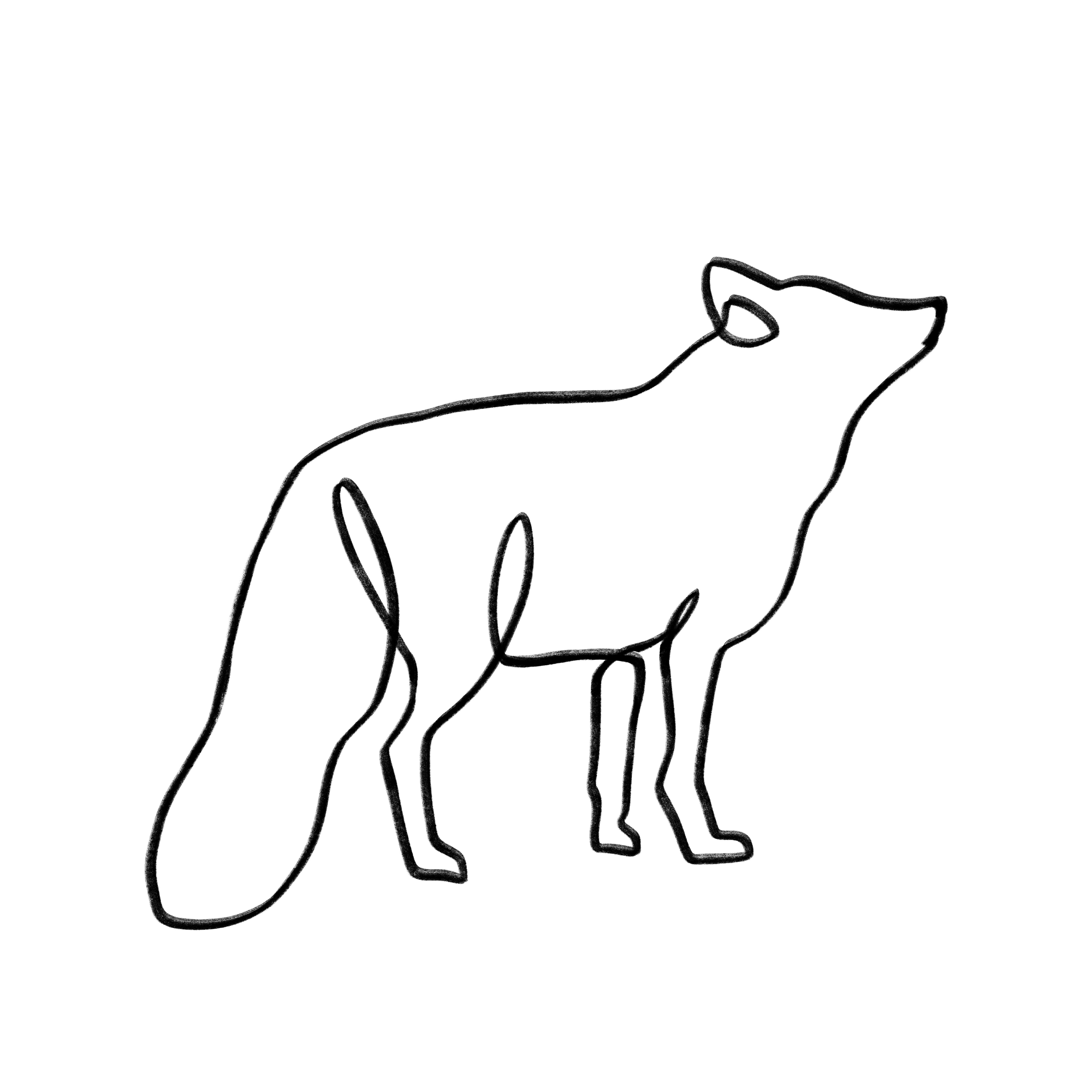 Orren Ellis Critter Contour X by Victoria Barnes - Wrapped Canvas Print ...