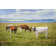 Brambly Cottage Lantz Cows In Farm Field - Wrapped Canvas Print ...
