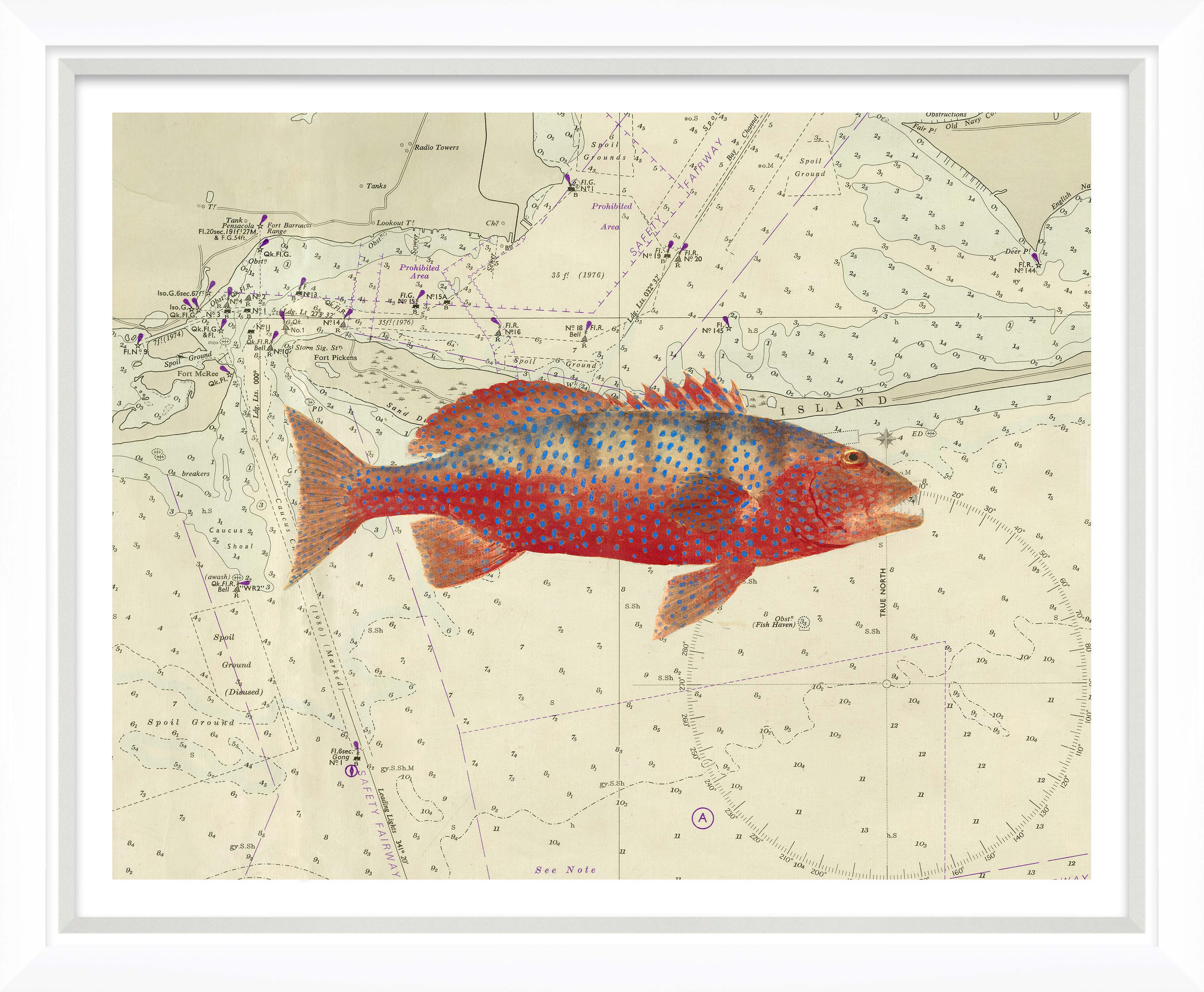 Soicher Marin 'Vibrant Fish 3' Framed Graphic Art Print | Wayfair