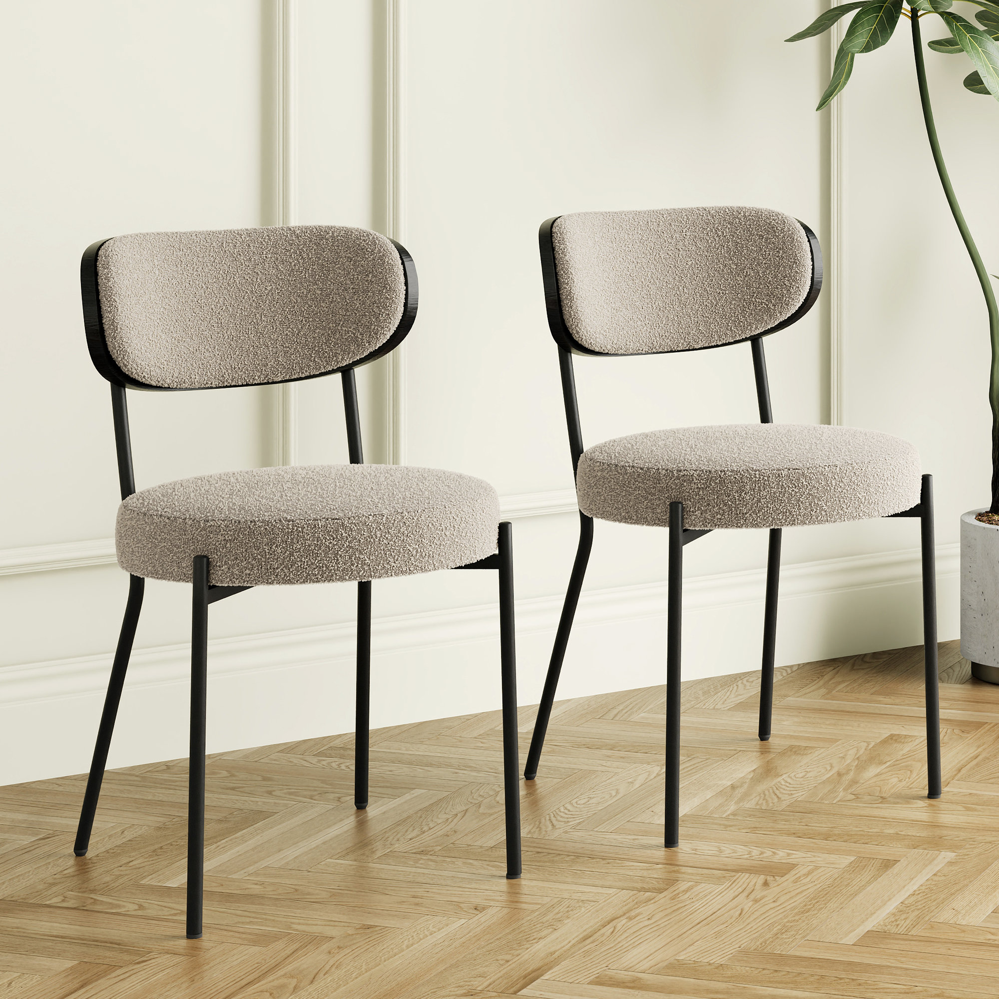 Red Barrel Studio Set of 2 Modern Bentwood Dining Chairs with Ash Veneer Back and Powder Coated Metal Legs Wayfair