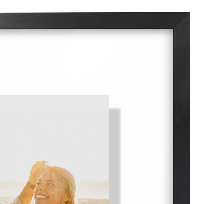 Latitude Run® Rickesha Floating Aluminum & Plexiglass Picture Frame ...