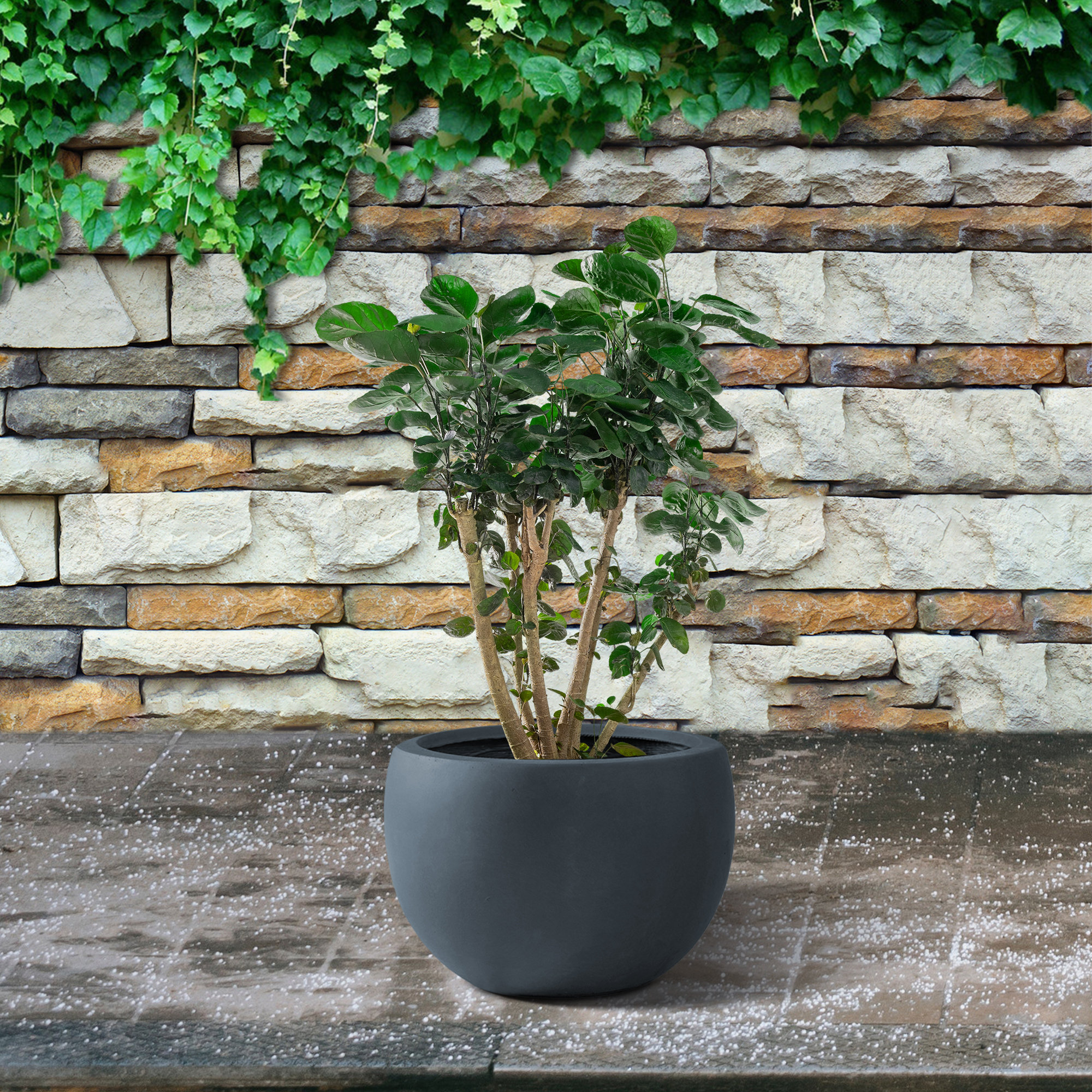 Latitude Run® Rubber Pot Planter | Wayfair