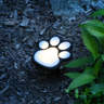 LumaBase Solar Powered Paw Print Pathway Lights & Reviews | Wayfair