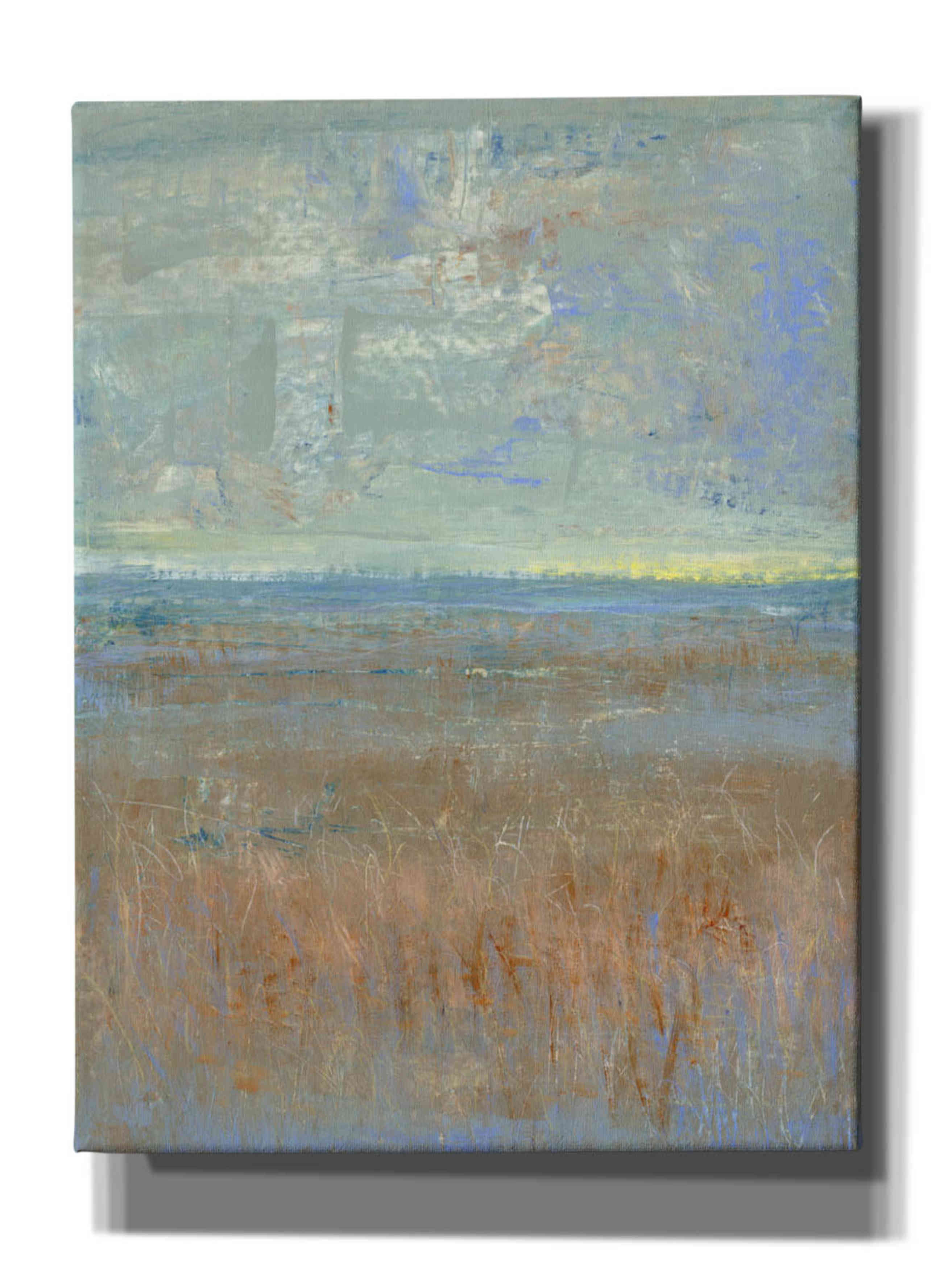 Orren Ellis Evening Marsh I' By Tim O'toole, Canvas Wall Art | Wayfair