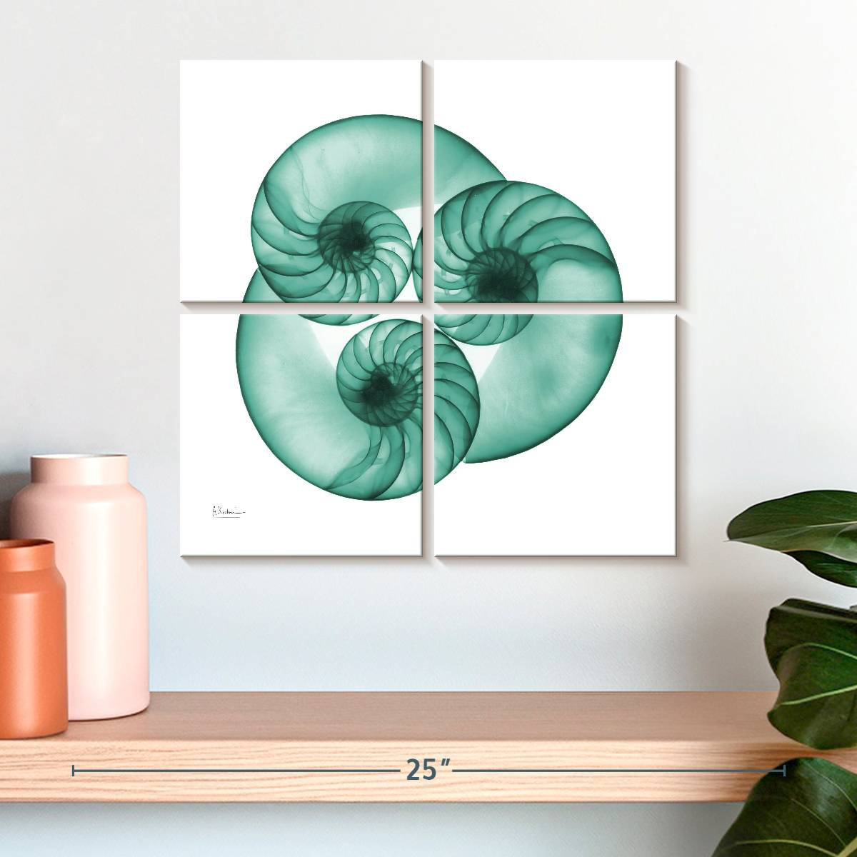 Breakwater Bay Aletra Neon Nautilus Trio | Wayfair