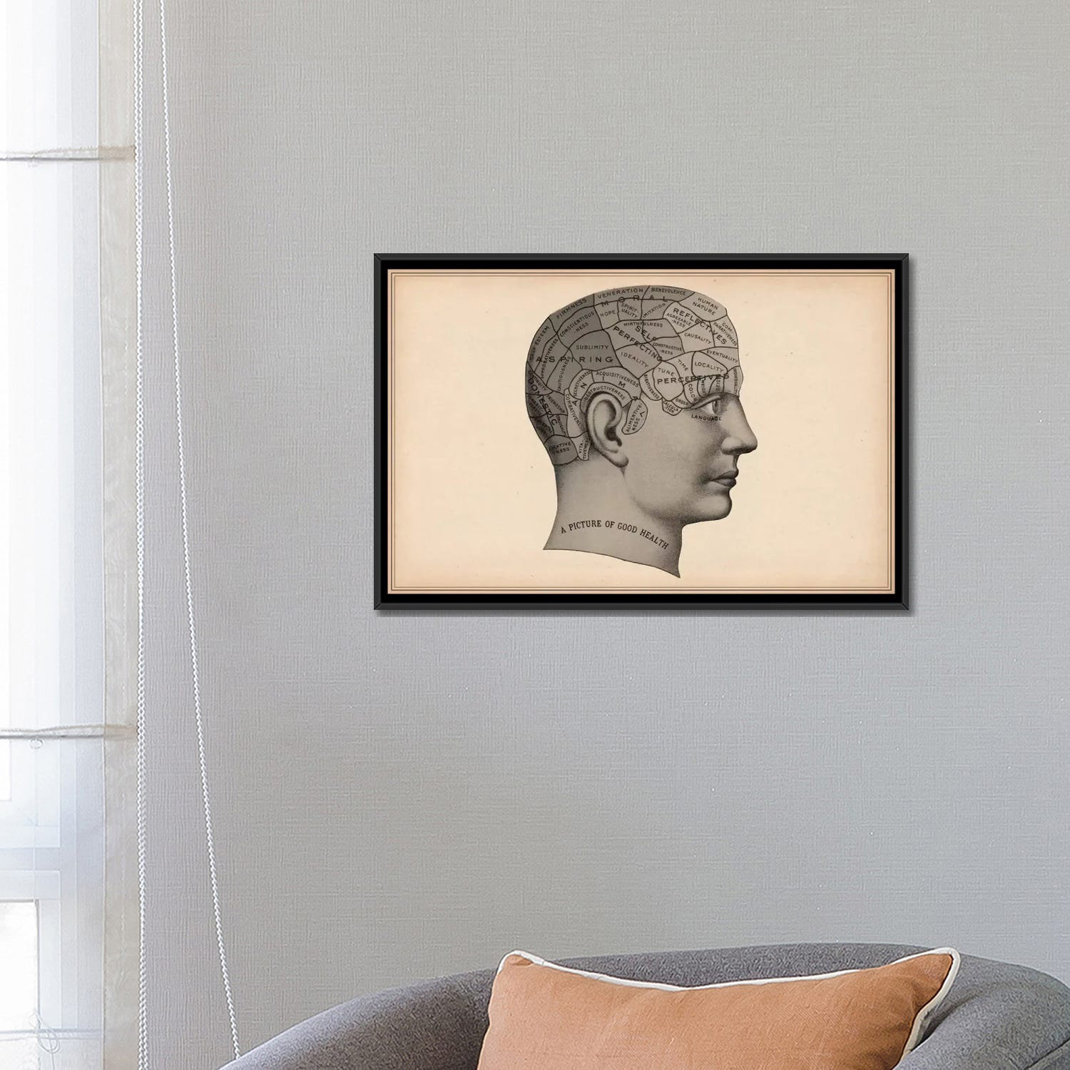 iCanvas Cartography 'Phrenology Human Head' - Graphic Art Print on ...