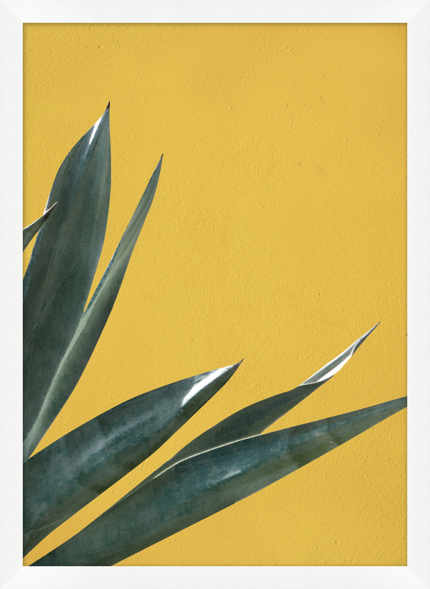 Wendover Art Group Agave Colour 4 - Wayfair Canada
