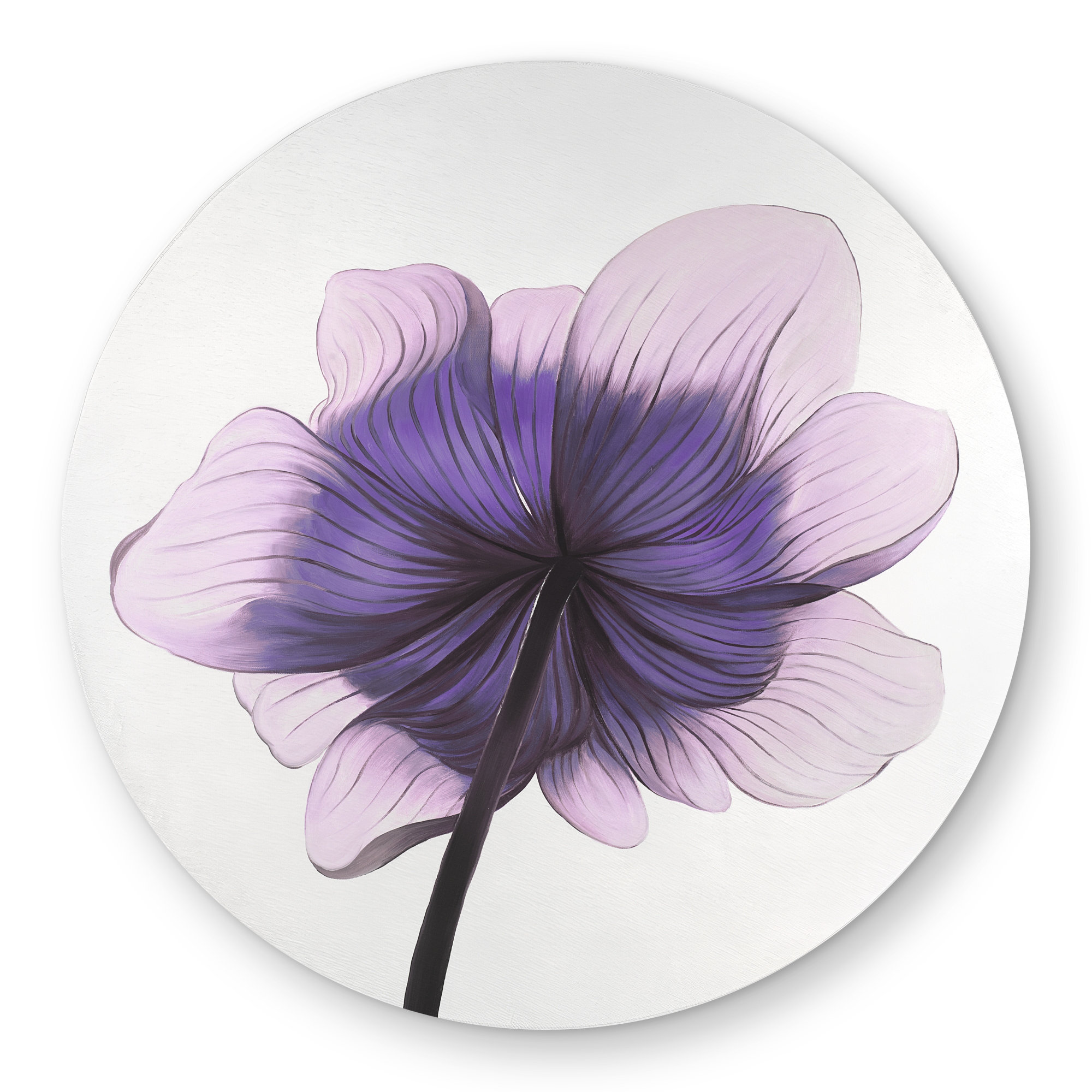 Begin Edition International Inc. Beautiful Anemone Purple Flower Rug ...