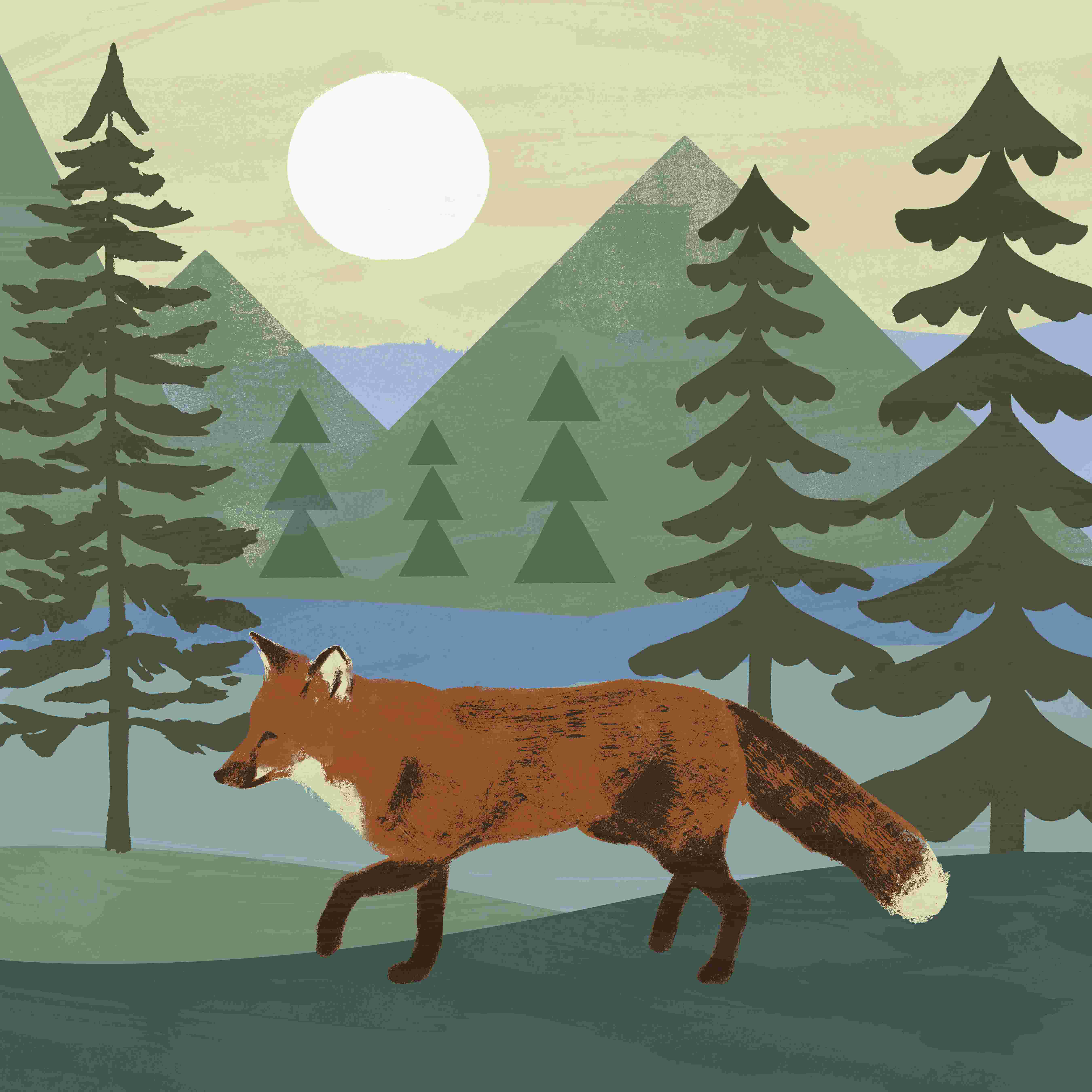 Millwood Pines Trailside Animals V - Wayfair Canada
