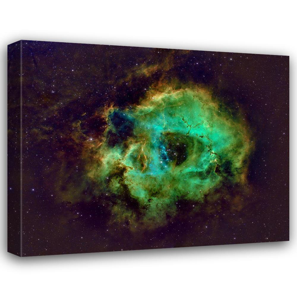 Orren Ellis Zhen Yu, James Gallery Wrapped Canvas Art Titled: Rosette ...