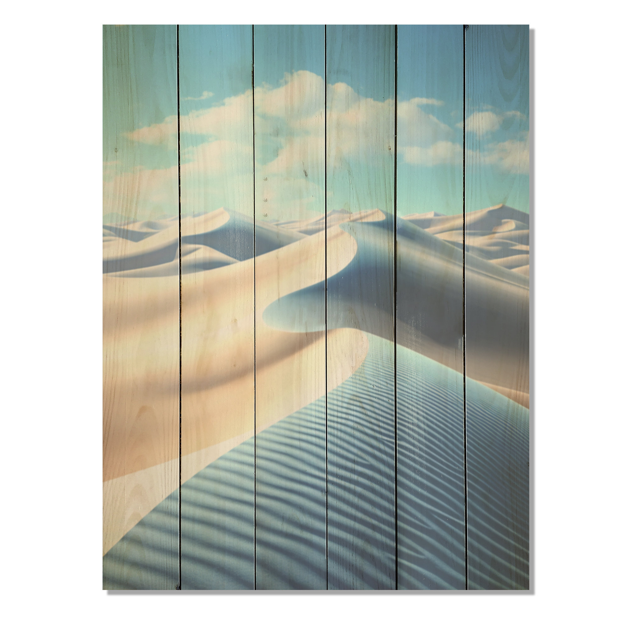Ophelia & Co. Dune Simplicity Landscape - Coastal Wood Wall Art On ...
