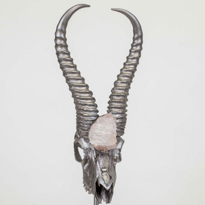 springbok skull mount