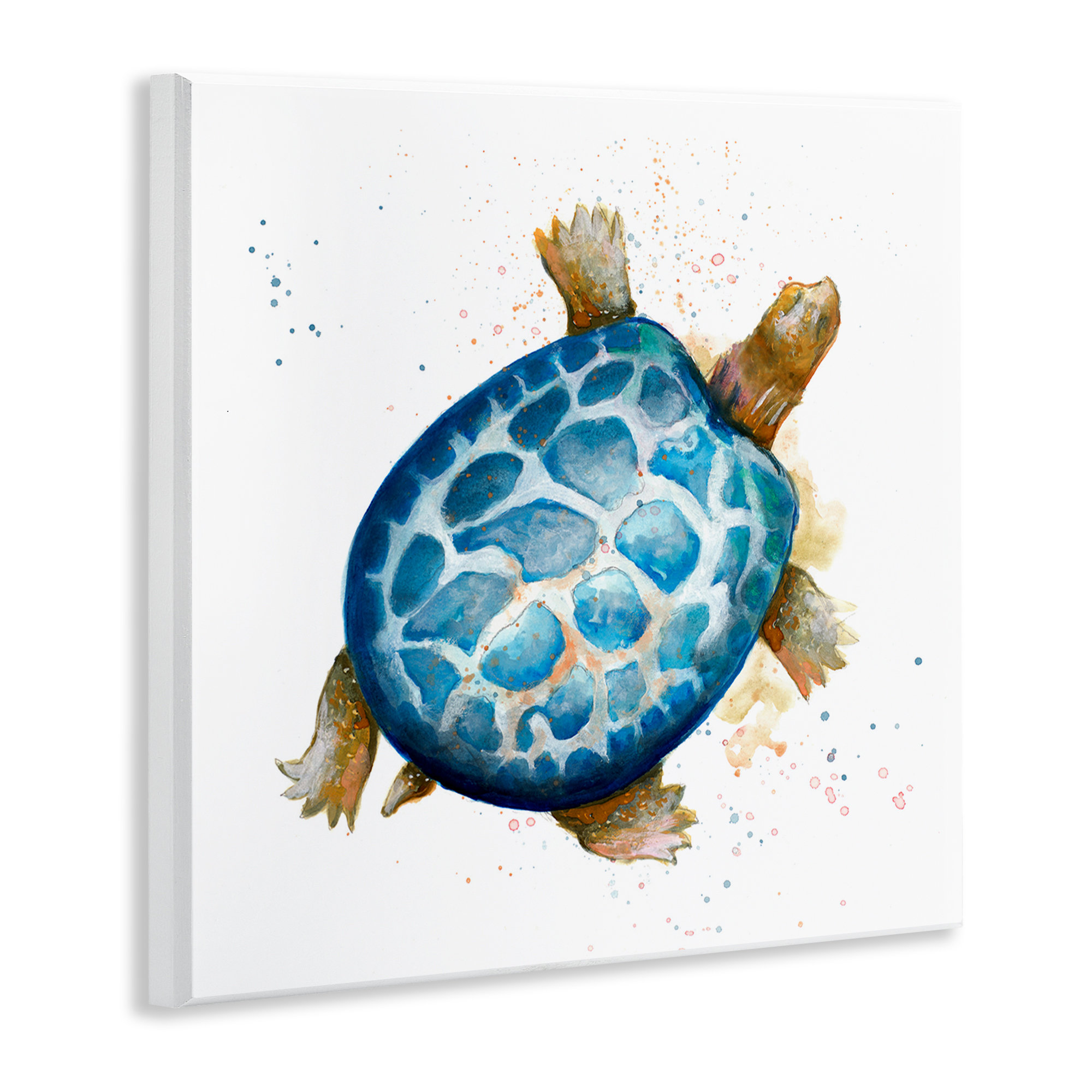 Dakota Fields Modern Speckled Turtle Wall Plaque Art by Patricia Pinto ...