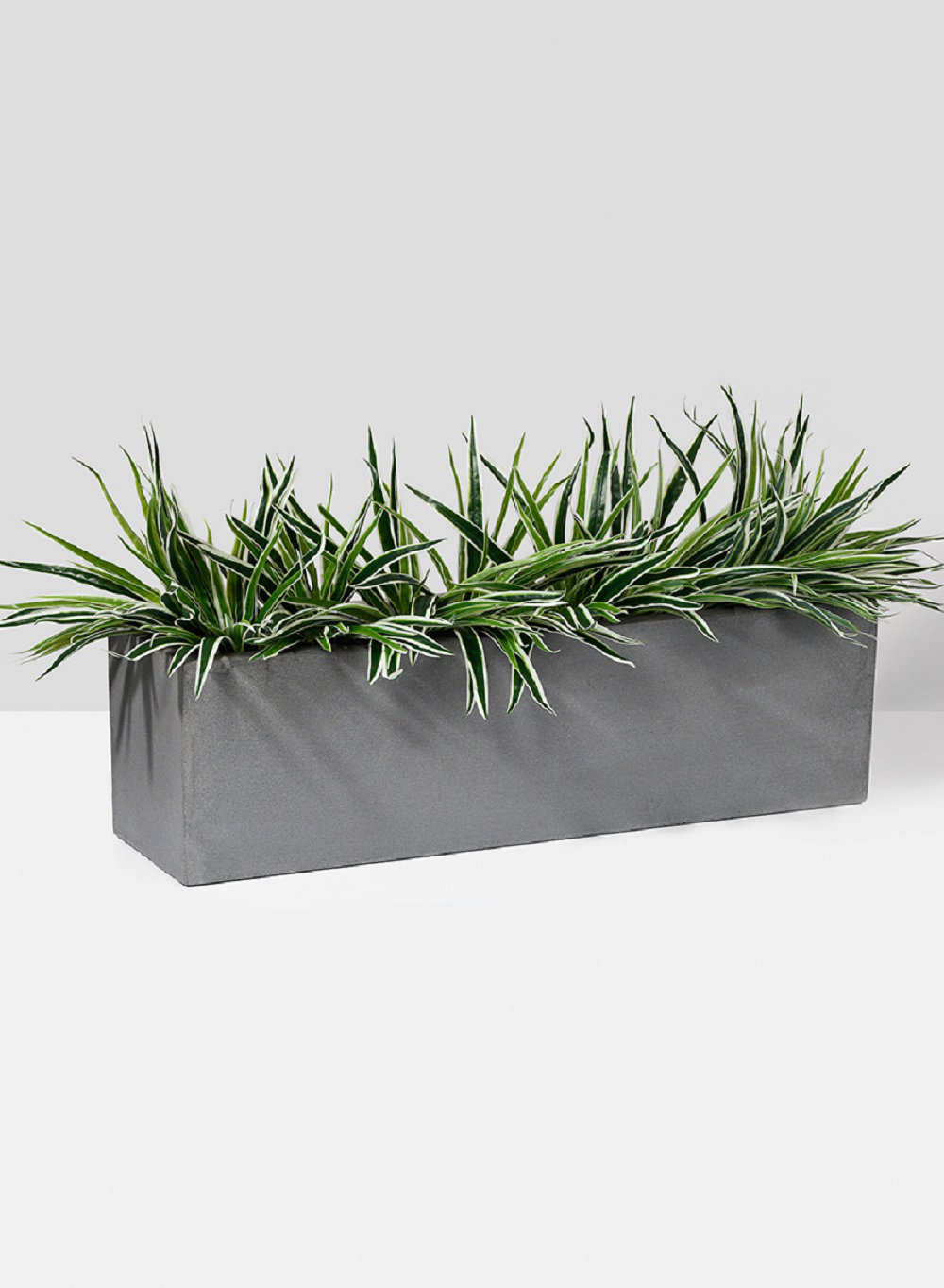17 Stories Stone Planter Box | Wayfair