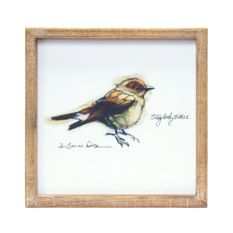 Red Barrel Studio® Wood Framed Bird Art Print (Set of 4)-85171DS | Wayfair