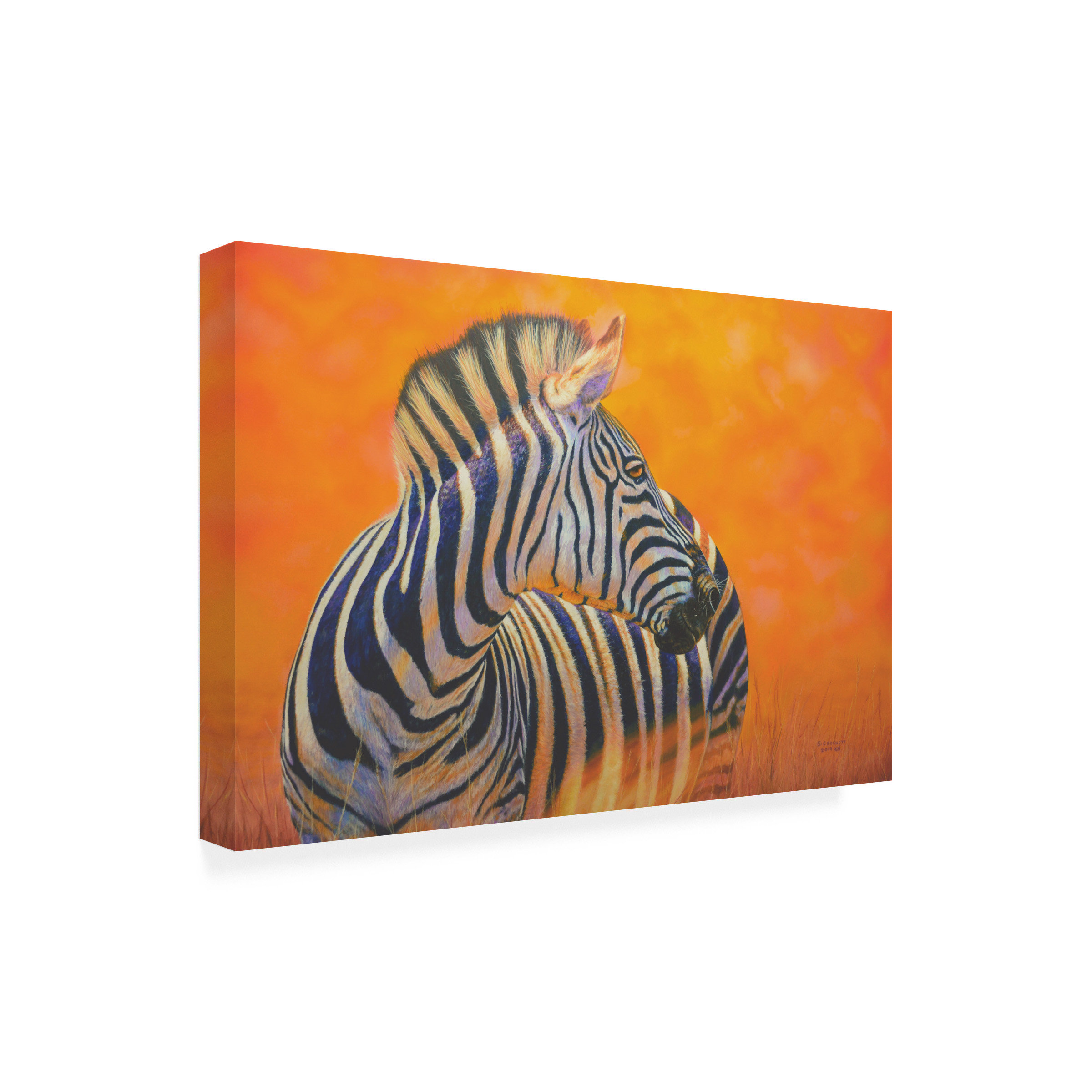 Union Rustic Zebra On Canvas by Steve Crockett Canvas Art | Wayfair