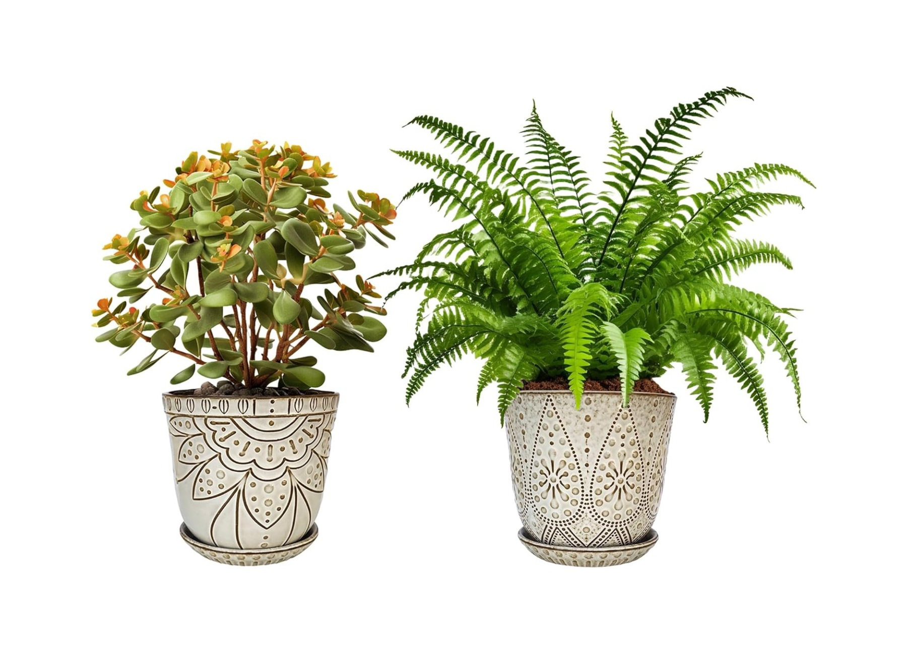 Dakota Fields Plant Pots Indoor With Drainage Holes. Ceramic Planter ...