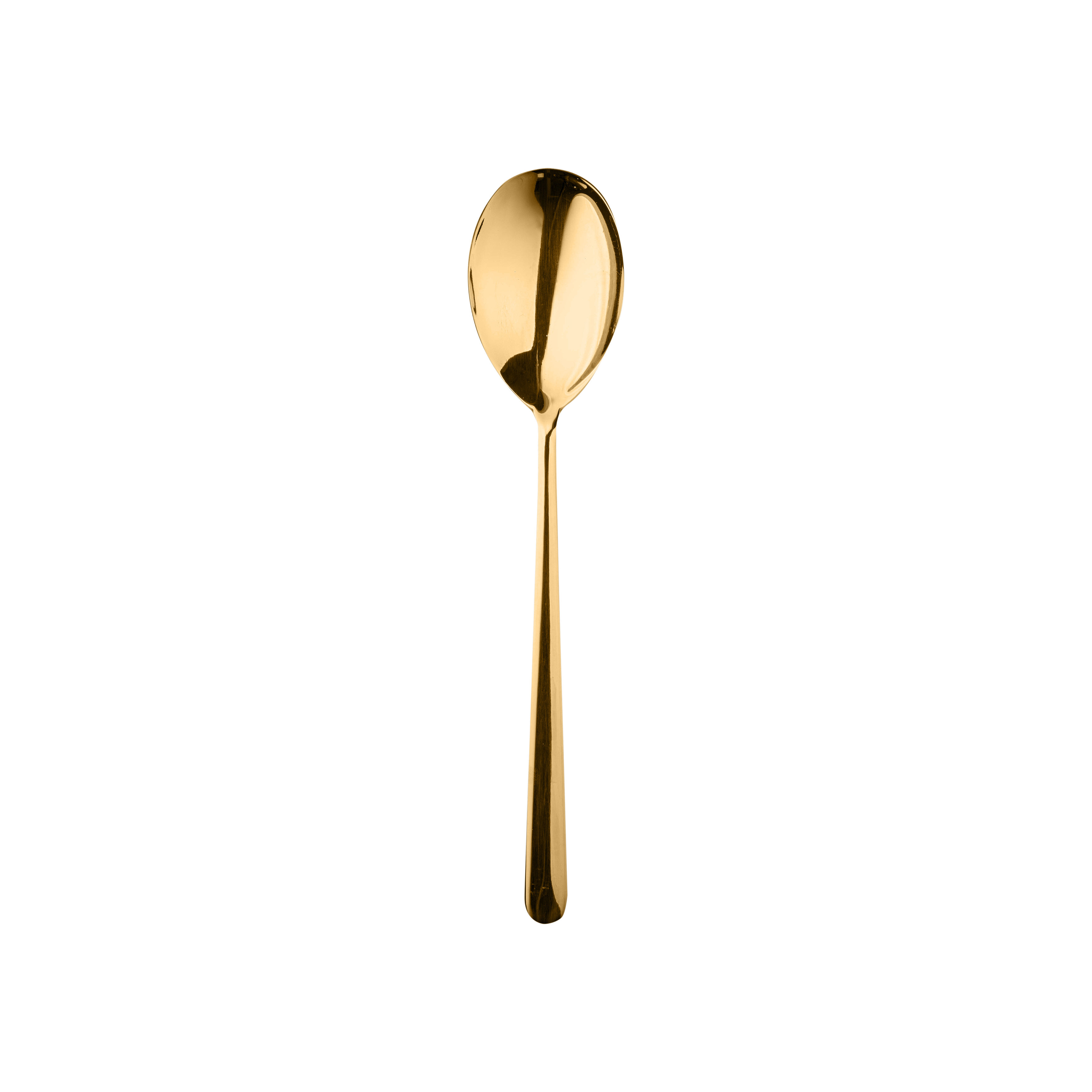 MEPRA Linea Serving Spoon - 48 Pieces - Gold | Perigold