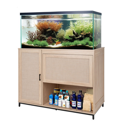 Fish Tanks & Aquariums You'll Love