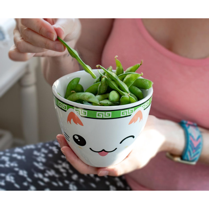 Toynk Bowl Bop Miso Happy Japanese Dinnerware Set | 16-ounce Ramen Bowl ...