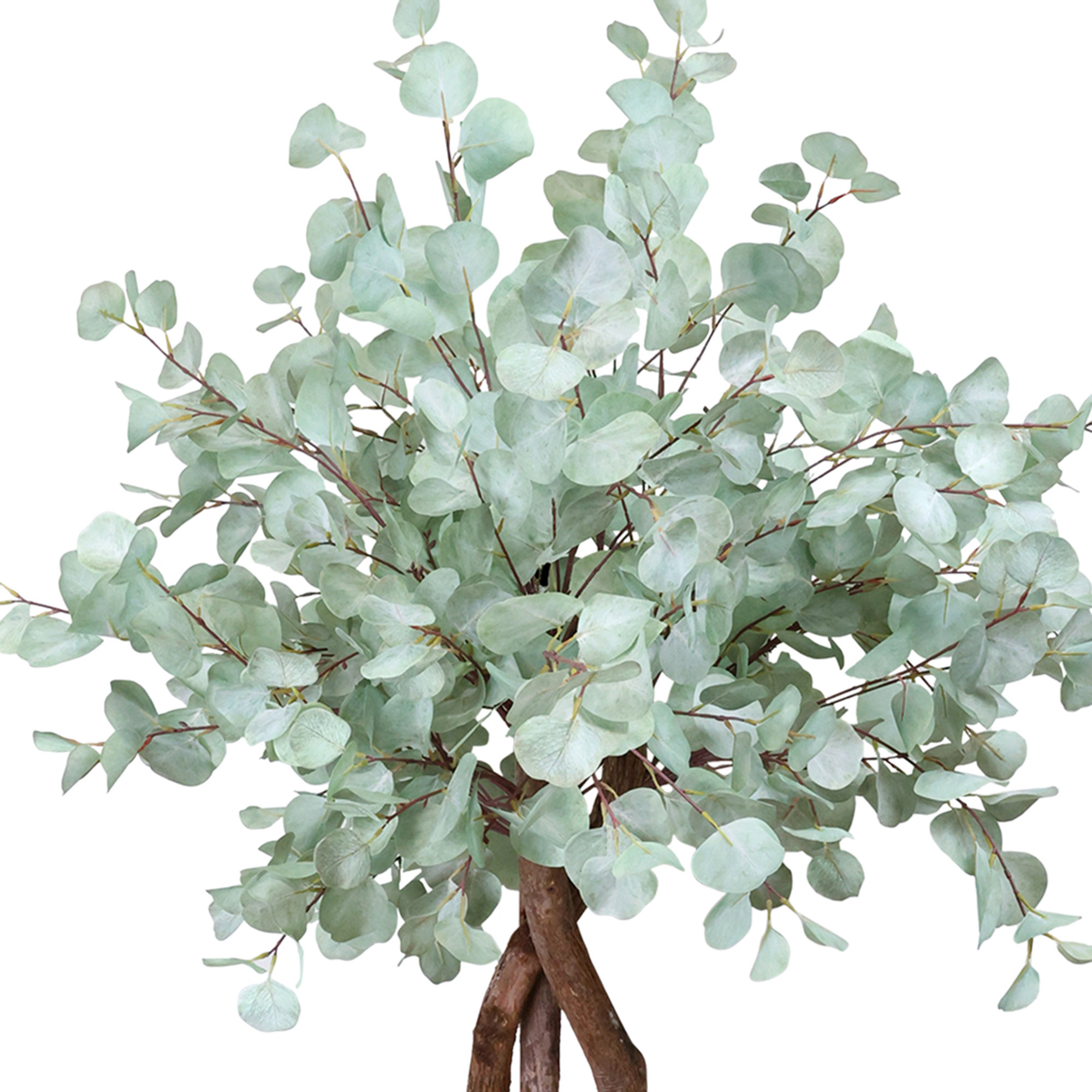 Primrue Silver Dollar Eucalyptus Tree in Stone Pot | Birch Lane