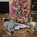 Qaba Kids Ride-On Toy Bear Rocker & Reviews | Wayfair