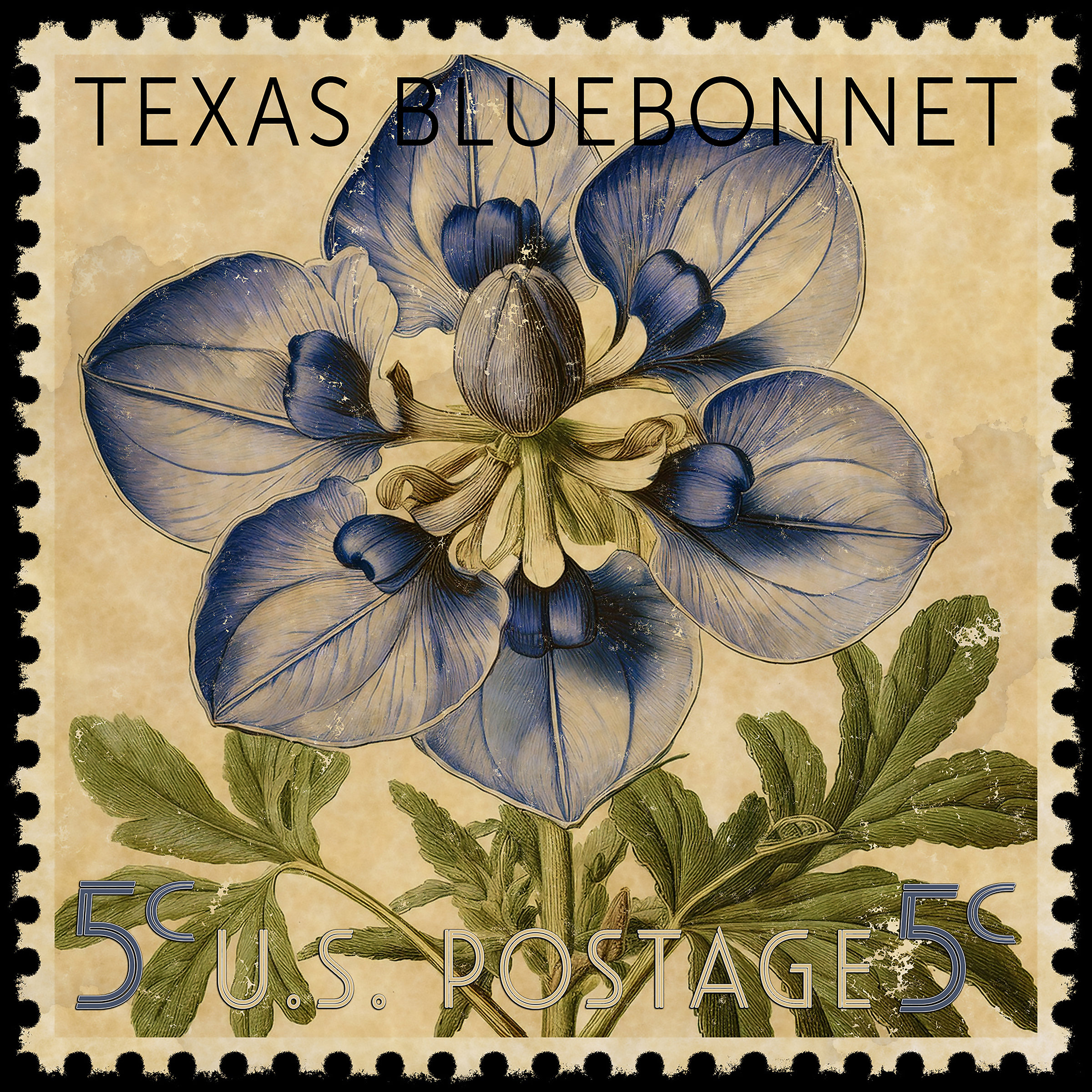 Trinx Texas State Flower BlueBonnet Postage Stamp by Grotto Studios ...