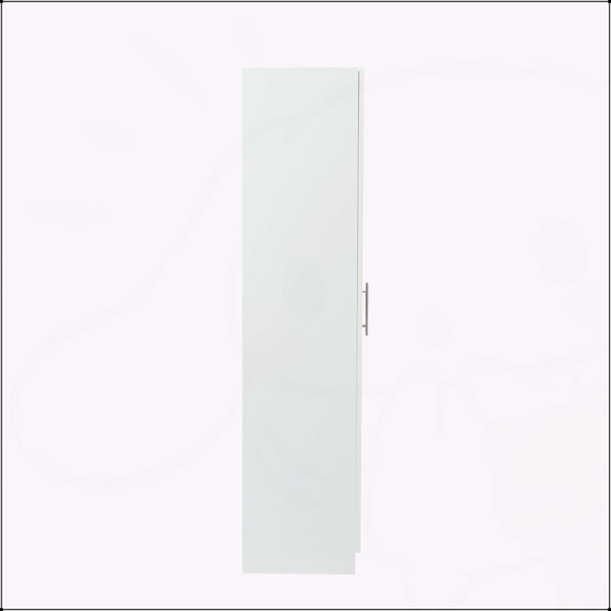 Latitude Run® Versatile Two-Door Three-Partition Cabinet for Storage ...