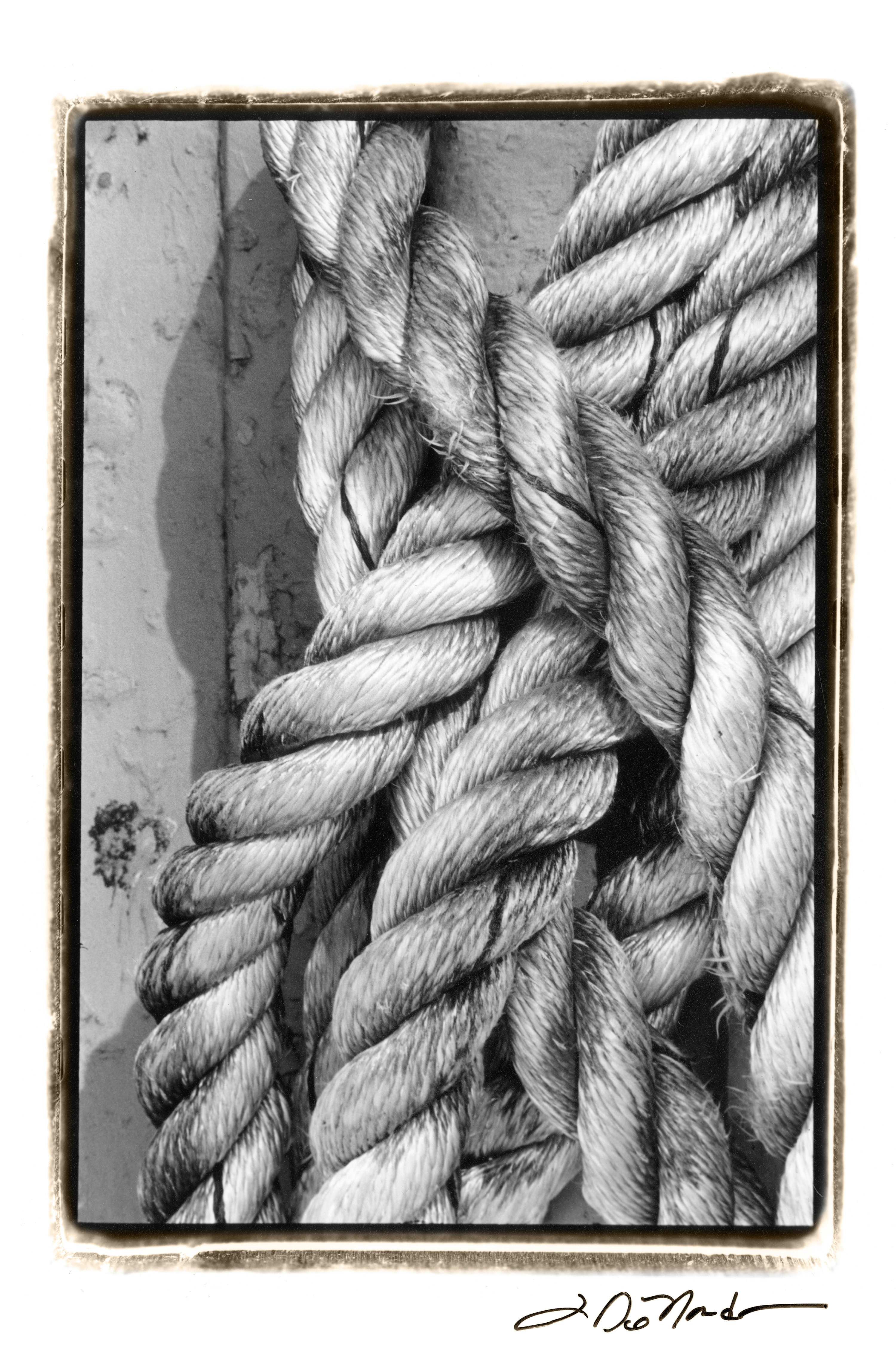 Longshore Tides Tied up I by Laura DeNardo - Wrapped Canvas Photograph ...