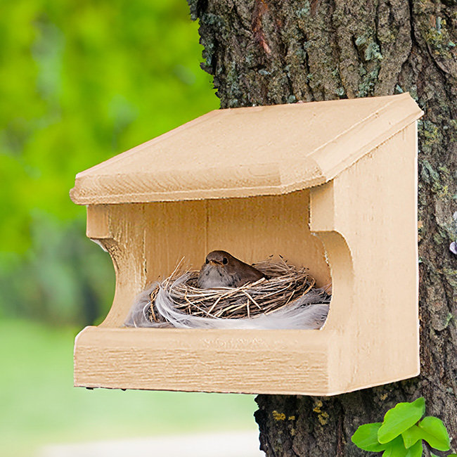 Millwood Pines Mahaney Open Nesting Box | Wayfair