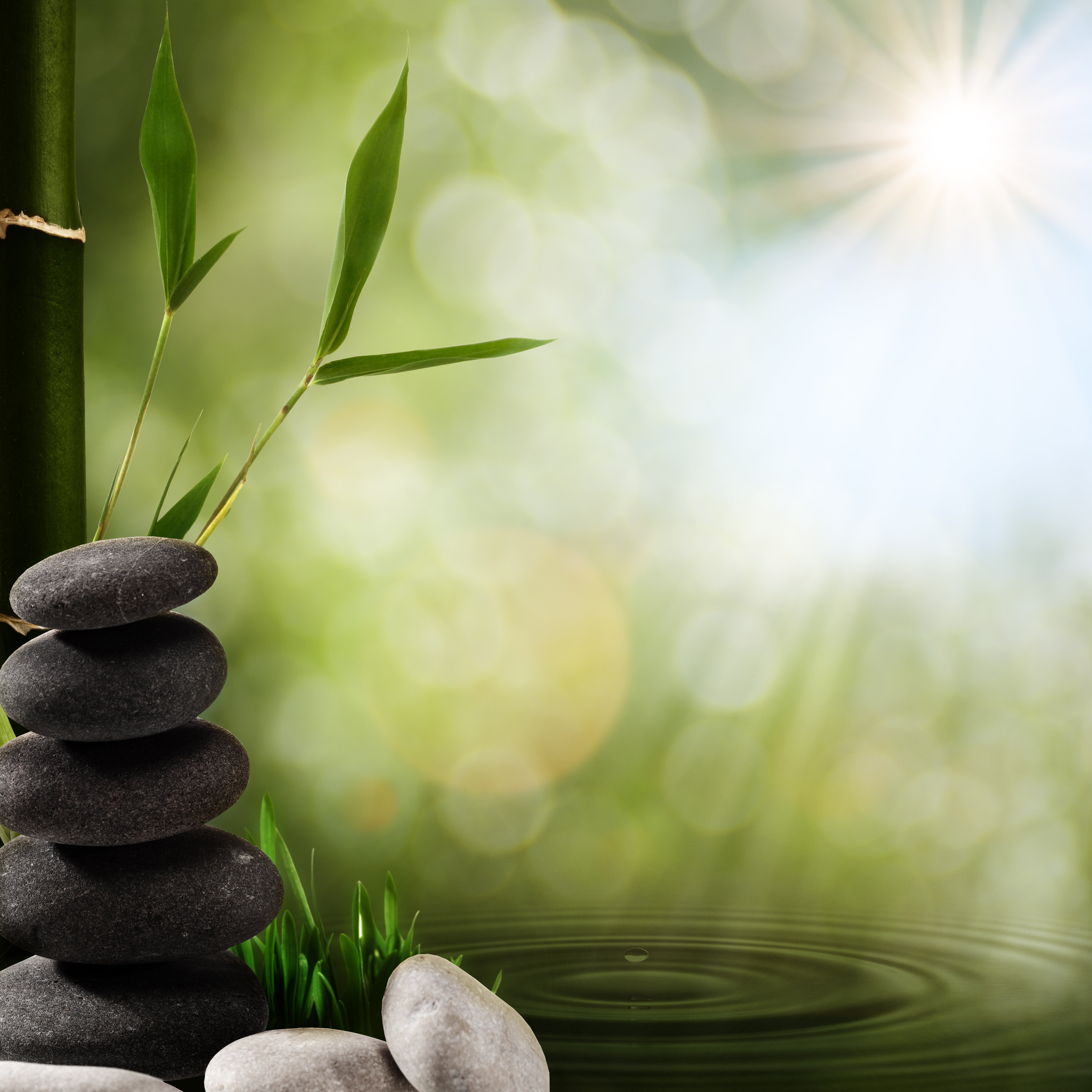 Hokku Designs Oriental Spa Backgrounds - Wrapped Canvas Graphic Art ...