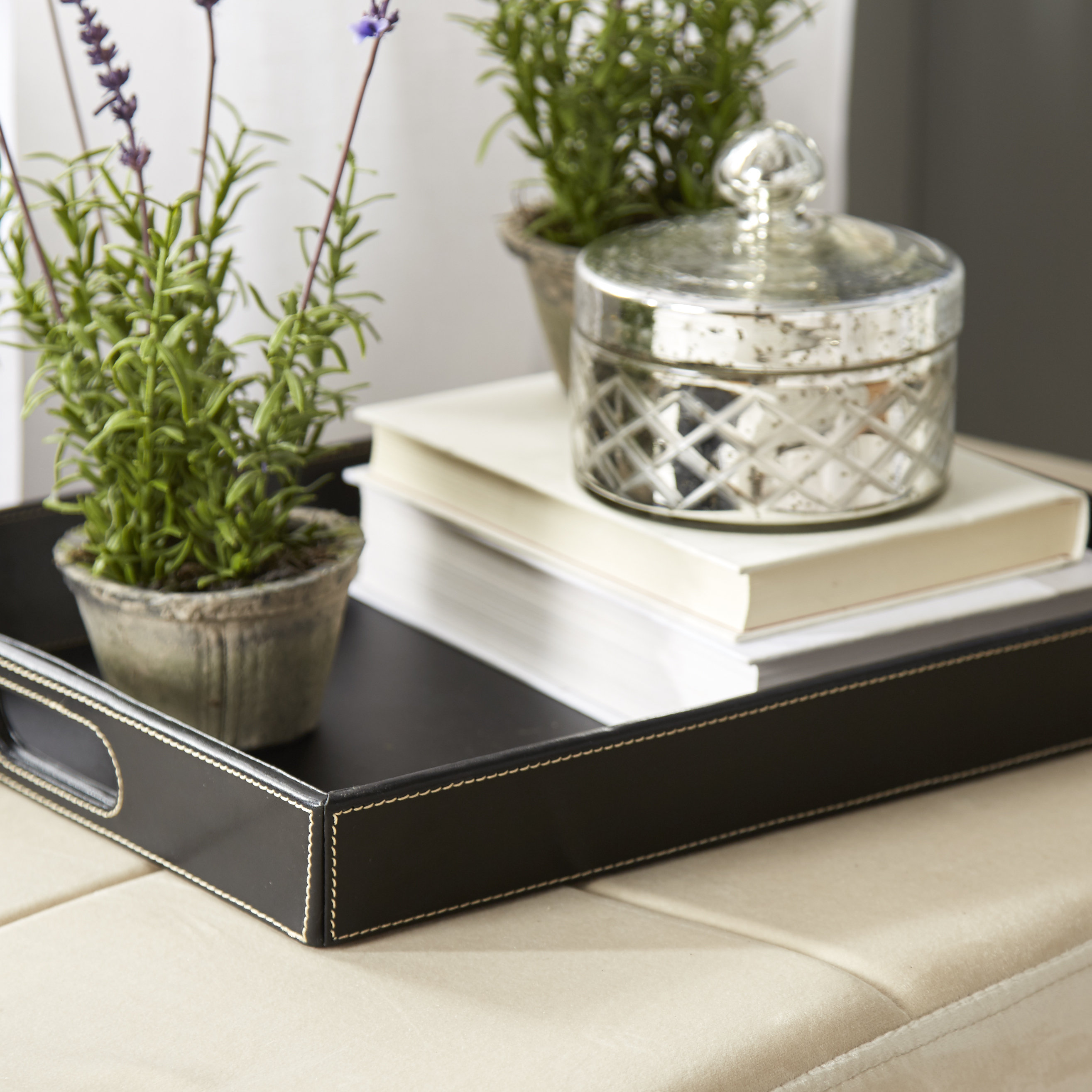 Clava Leather Serving Tray & Reviews | Wayfair