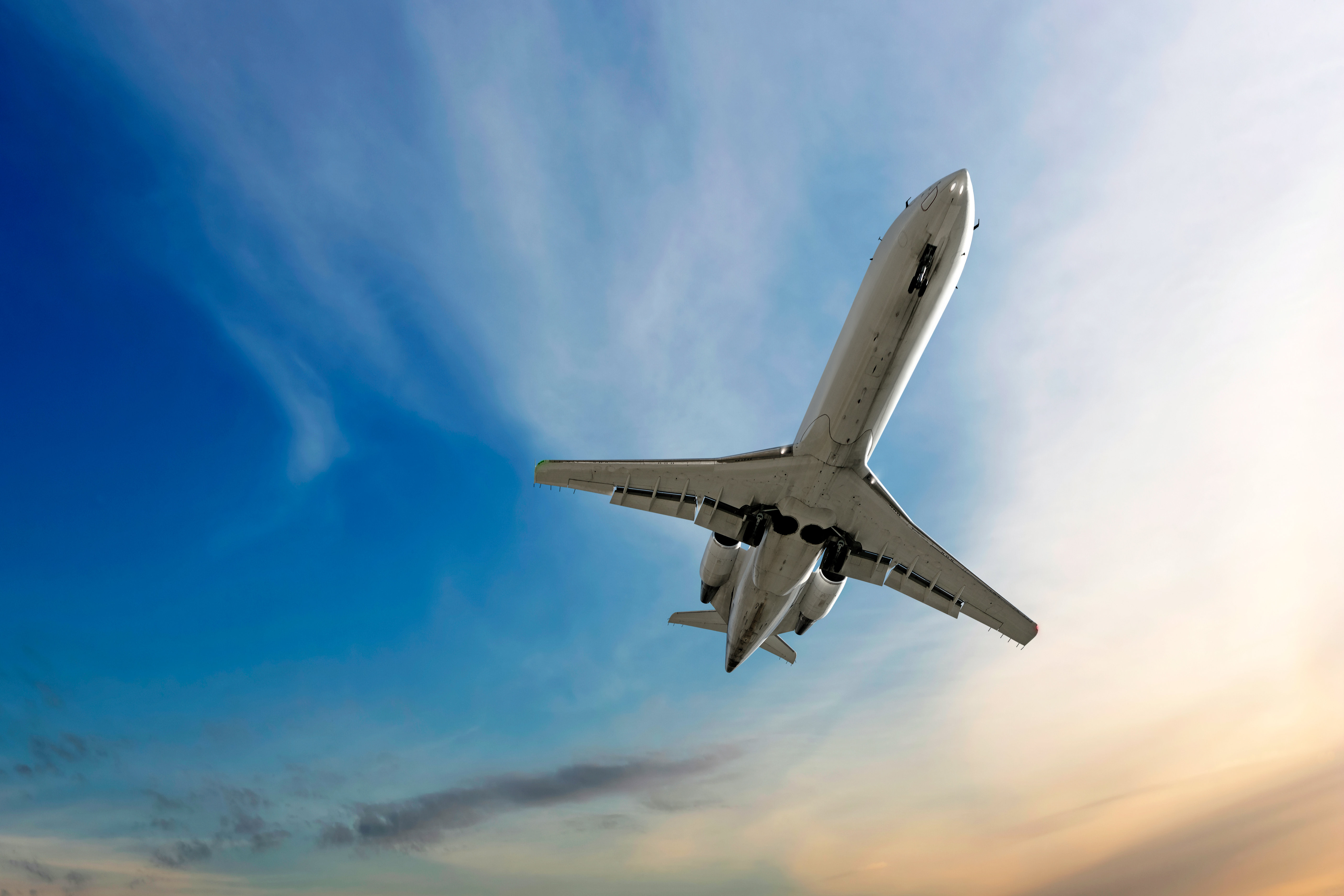 Latitude Run® Corporate Jet Airplane by Sharply_Done | Wayfair